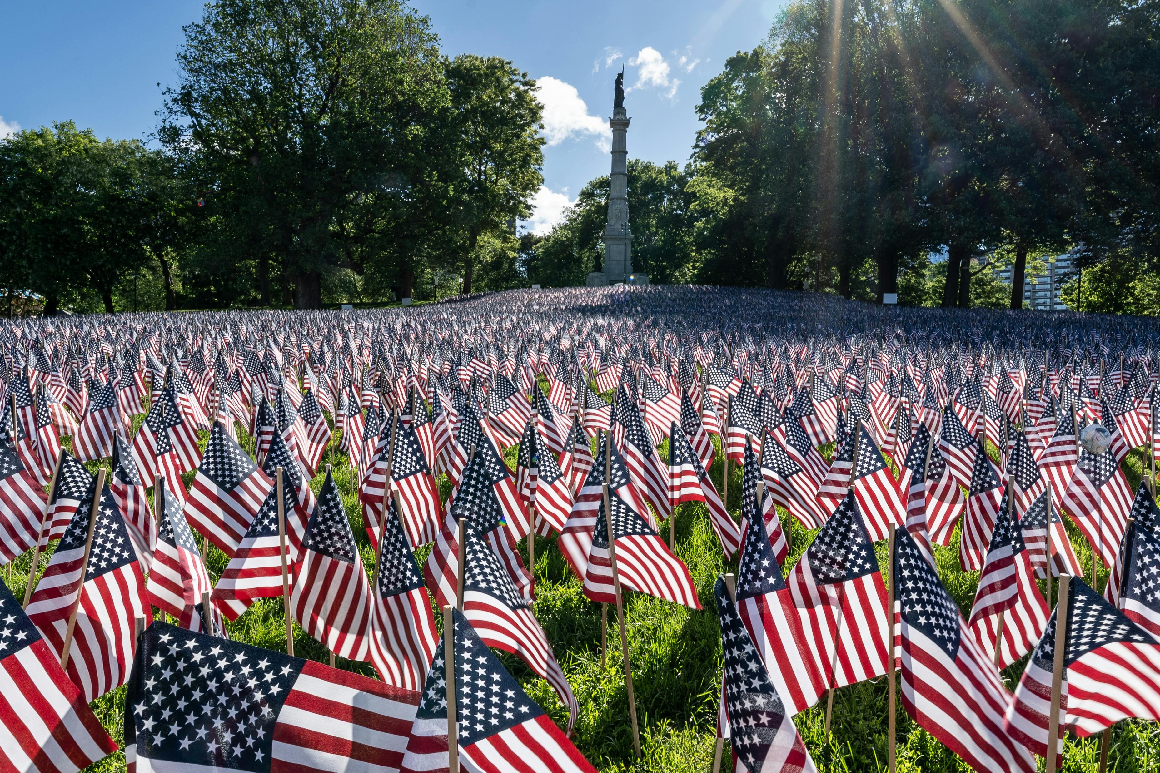 Field of American Flags in Boston Park · Free Stock Photo