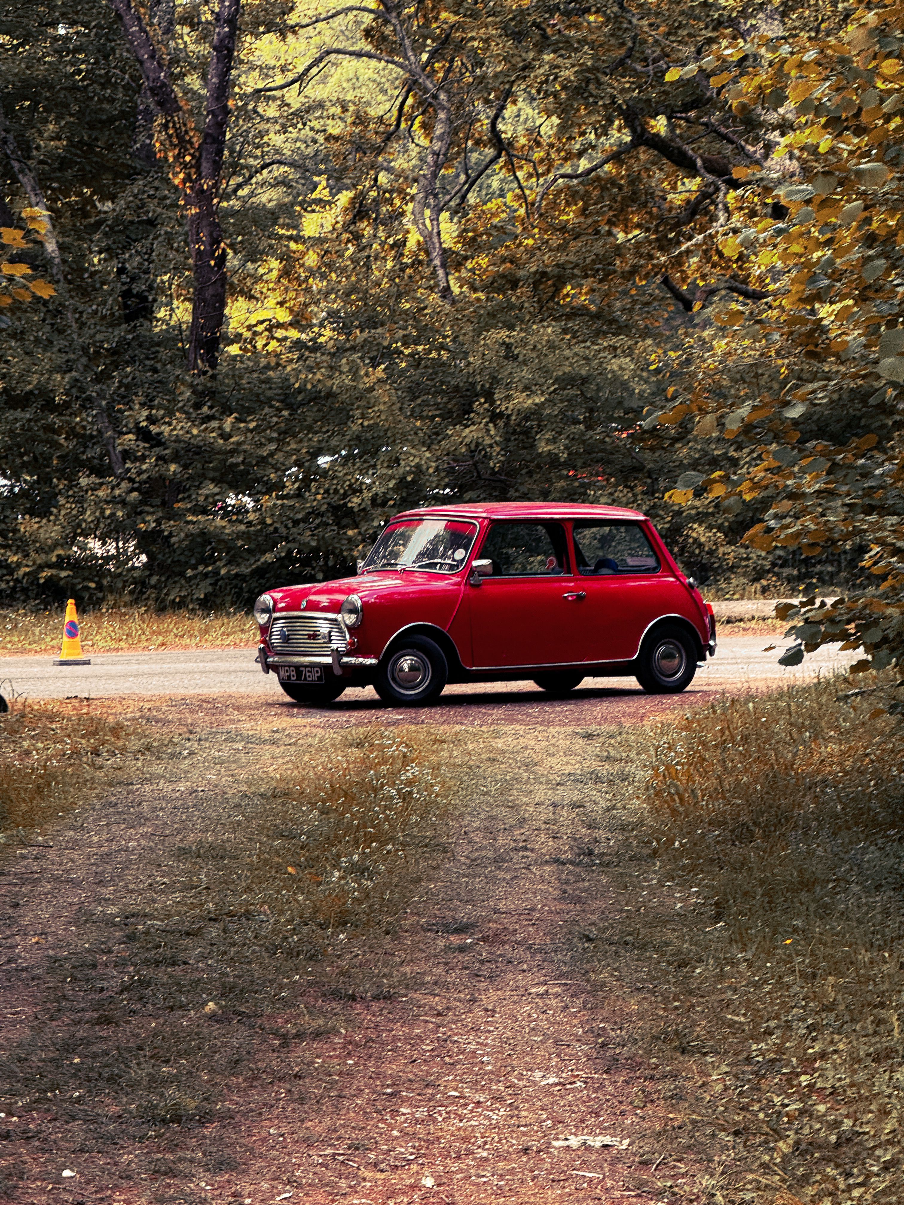 Classic Red Mini Cooper in Autumn Forest · Free Stock Photo