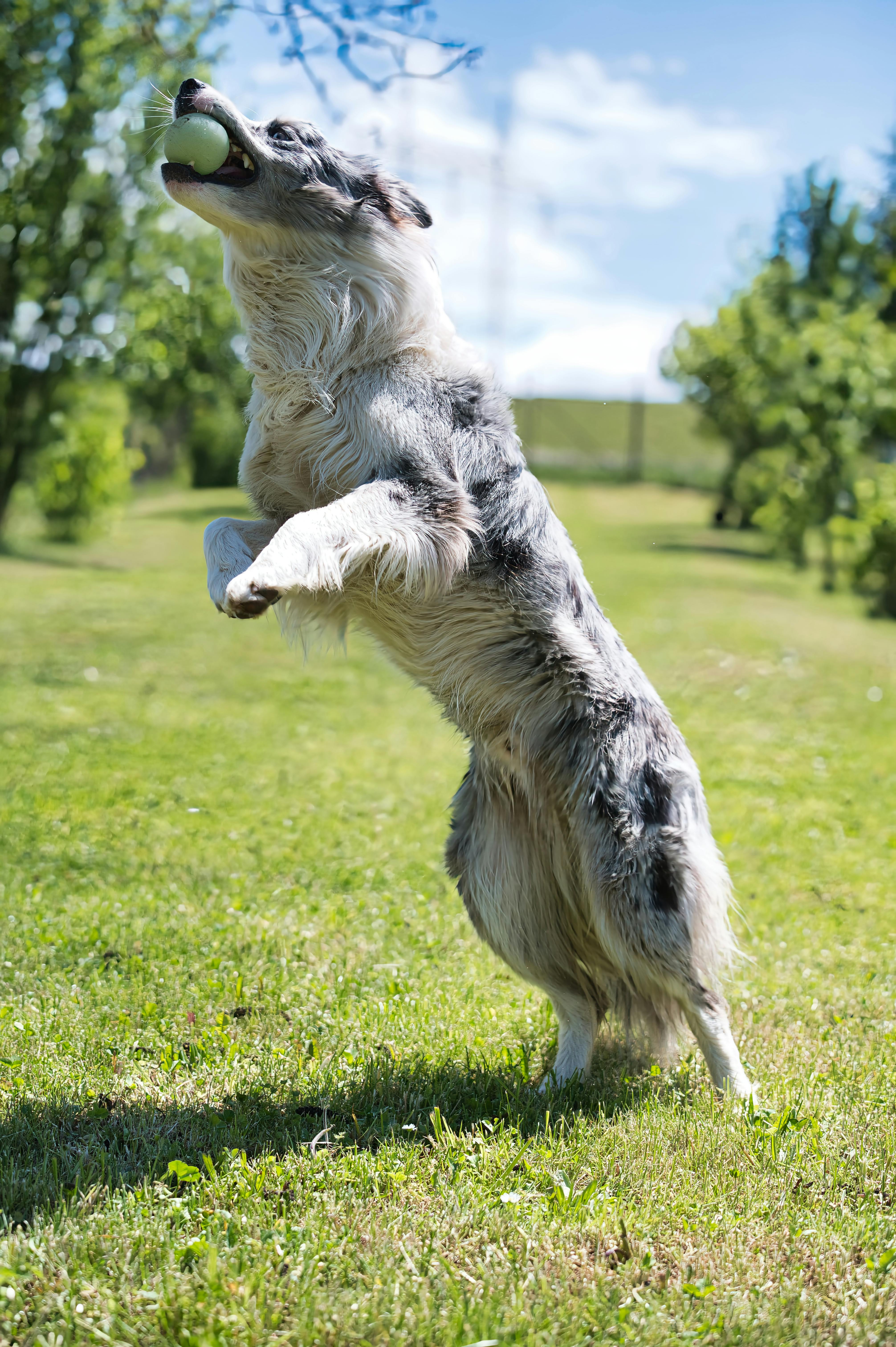 Kristi+Noem+Images+At+The+Beach Photos, Download The BEST Free Kristi ...