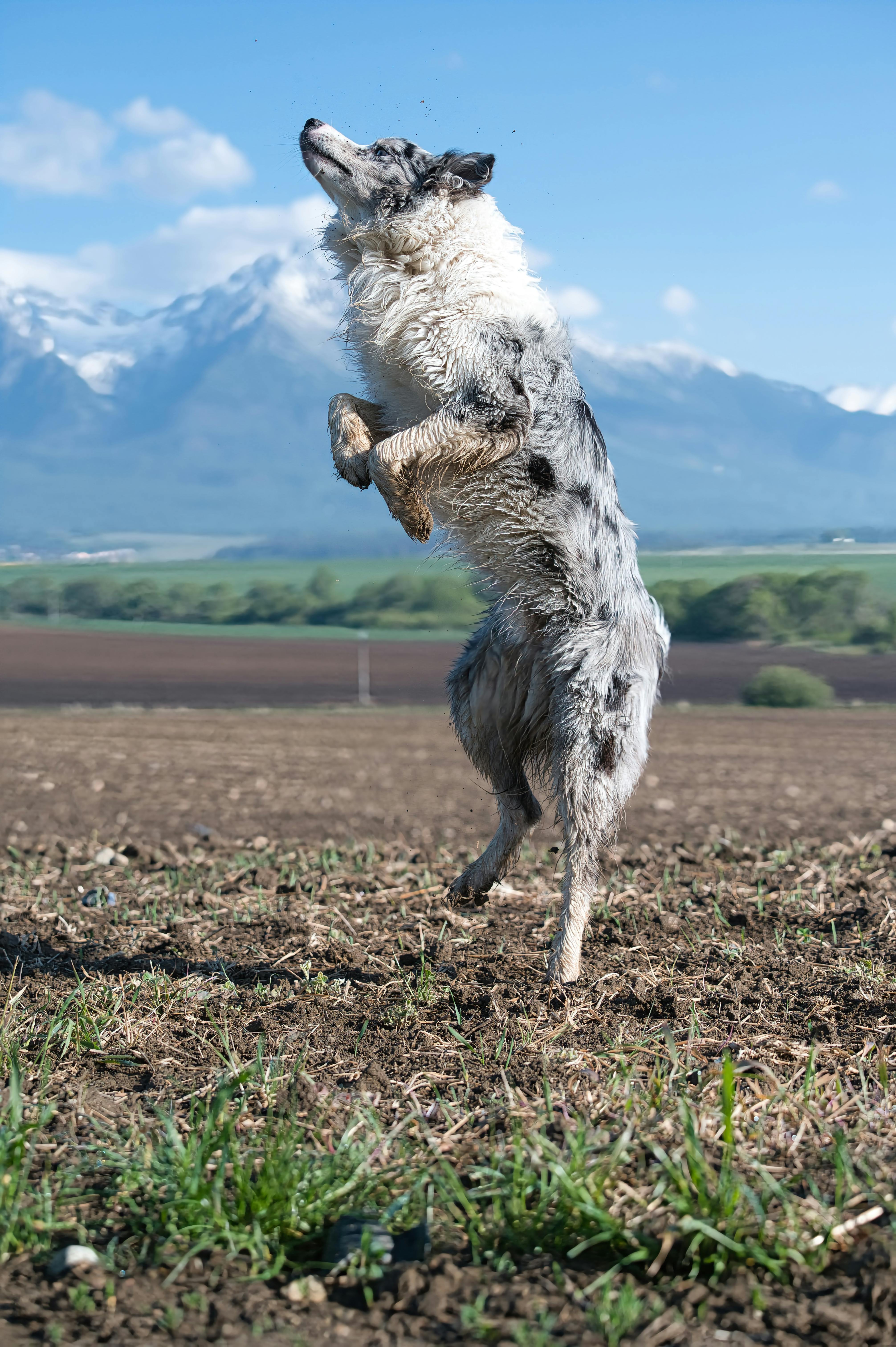 Anime+Girl+Sus+No+Blur Photos, Download The BEST Free Anime+Girl+Sus+No ...