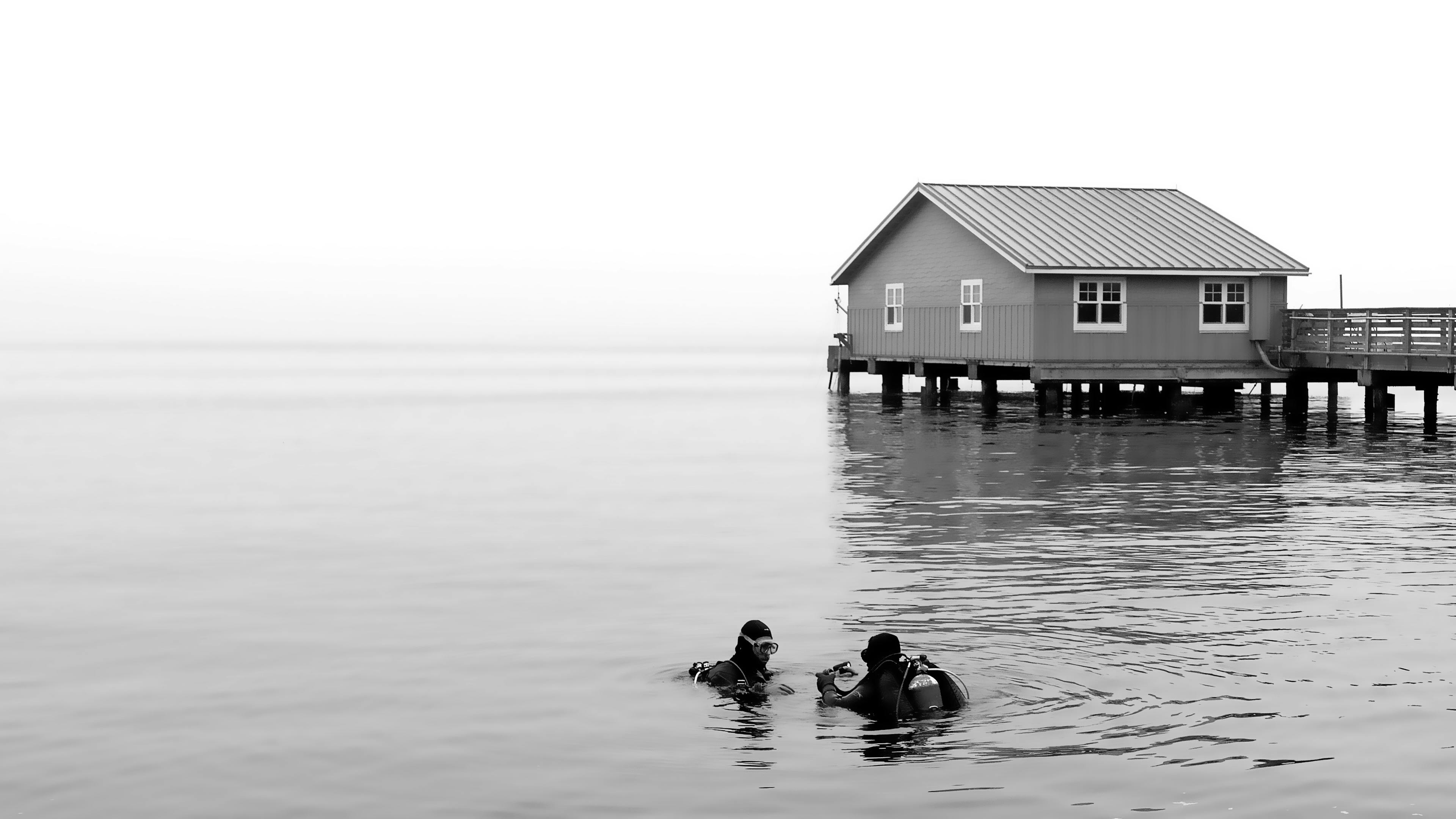 Scuba Divers by Pier in Des Moines, WA · Free Stock Photo