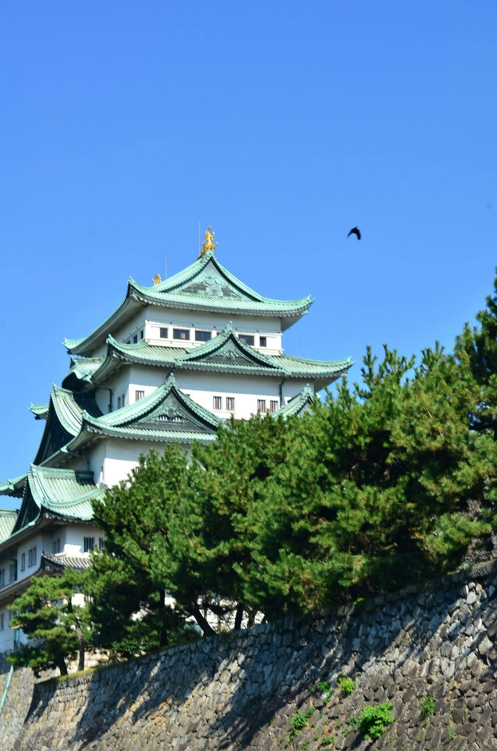 2016 Vibe Photos, Download The BEST Free 2016 Vibe Stock Photos & HD Images