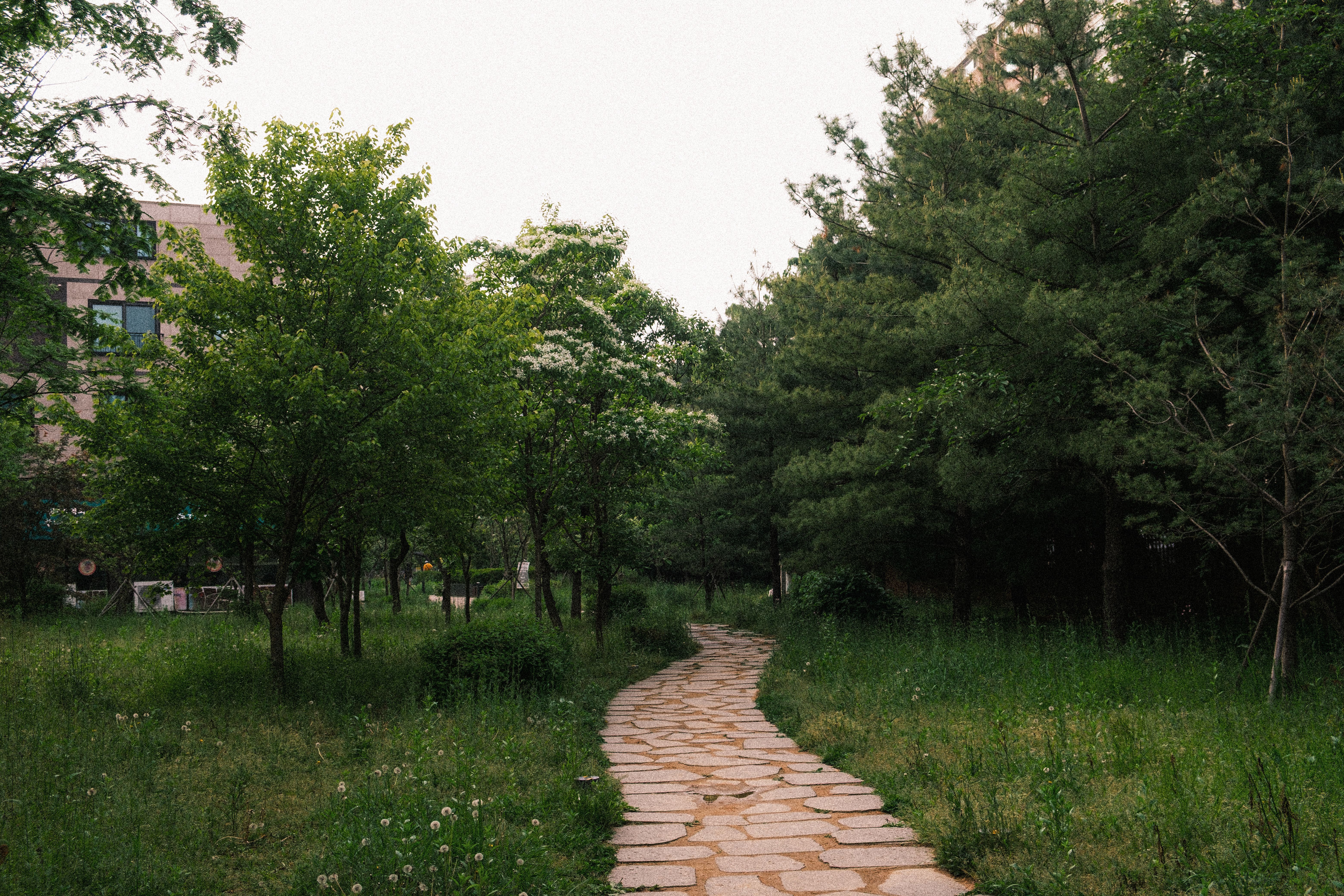 Tranquil garden pathway in Gyeonggi-do, South Korea · Free Stock Photo