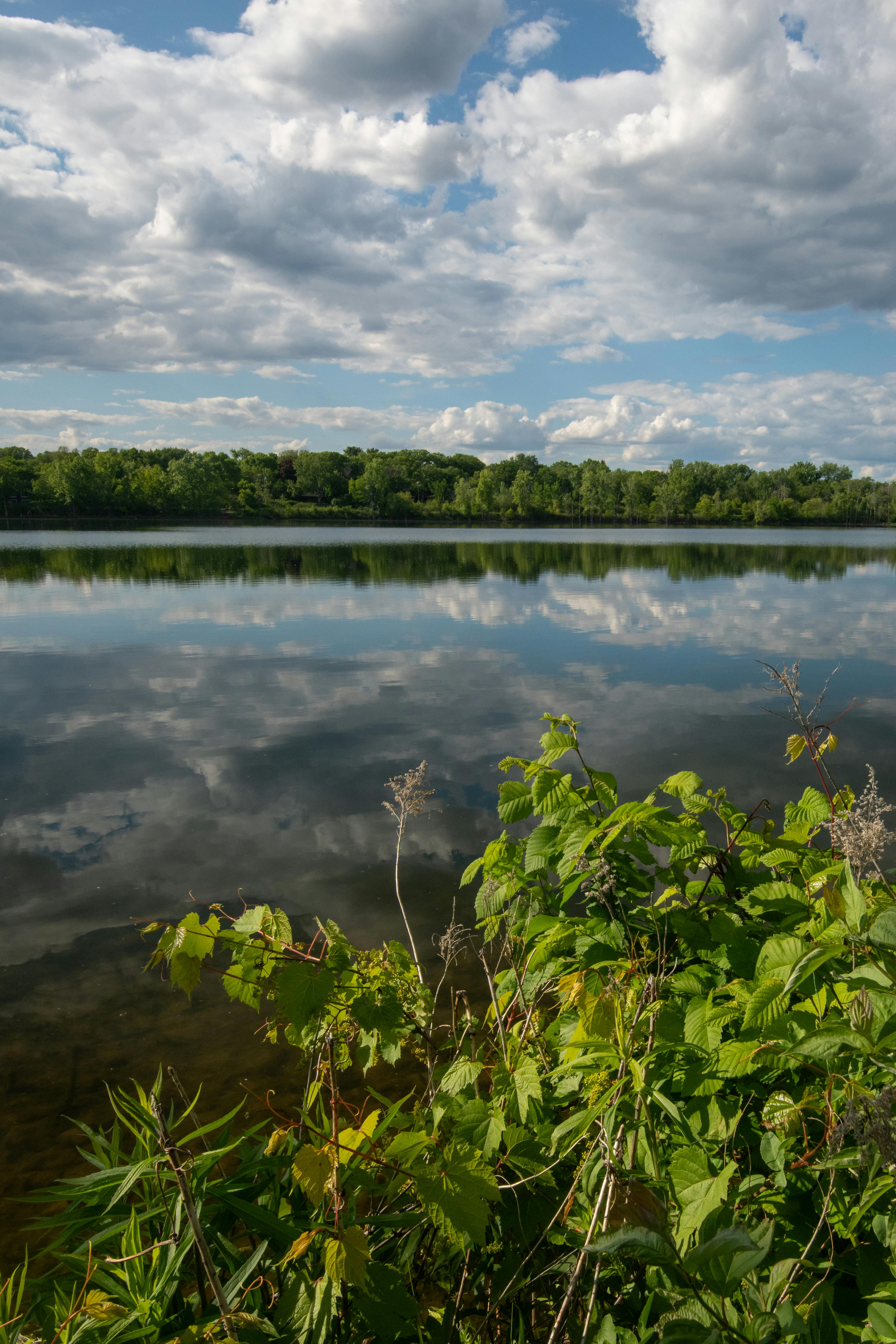 Calming Photos, Download The BEST Free Calming Stock Photos & HD Images