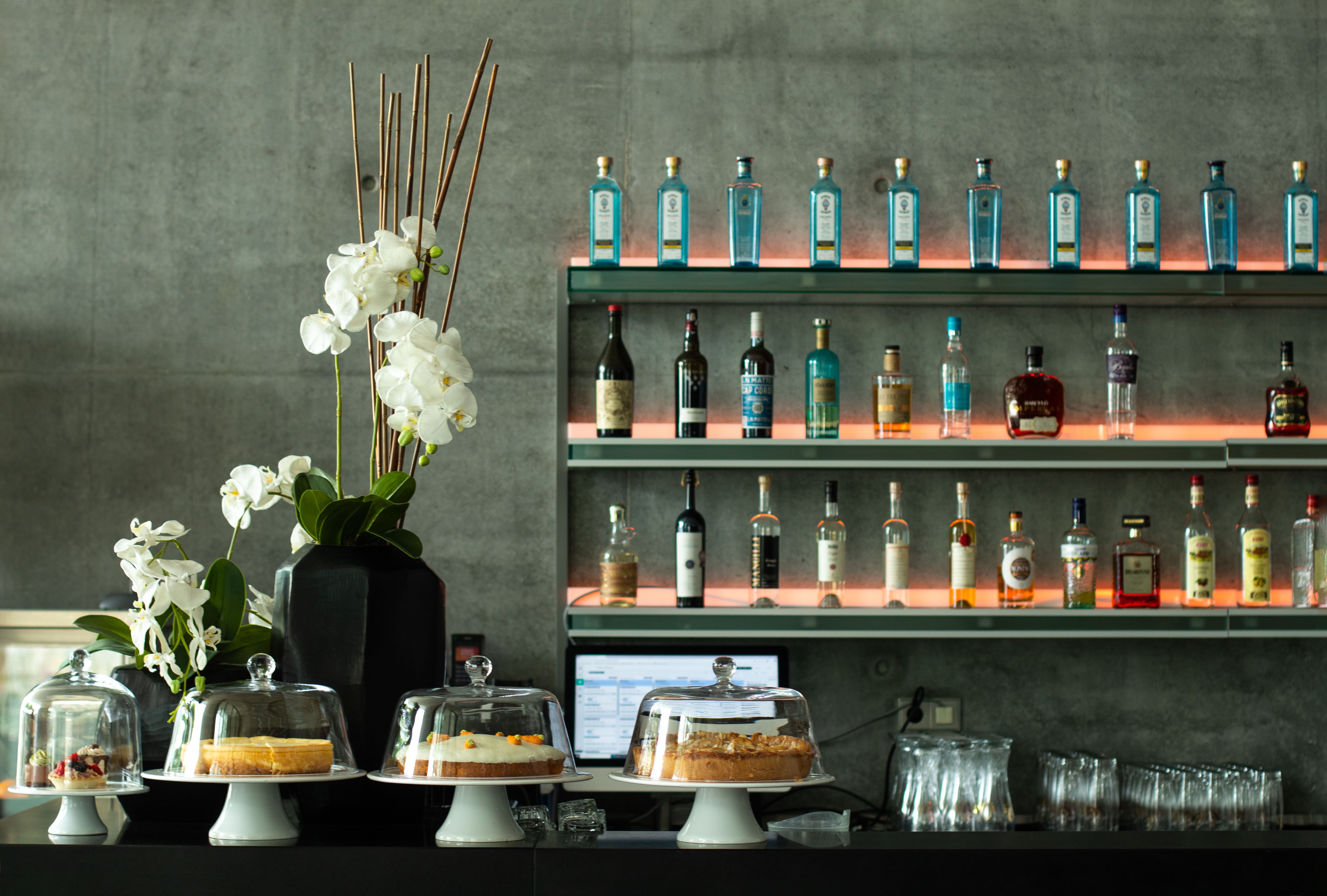 Stylish Bar Interior with Drinks and Desserts · Free Stock Photo