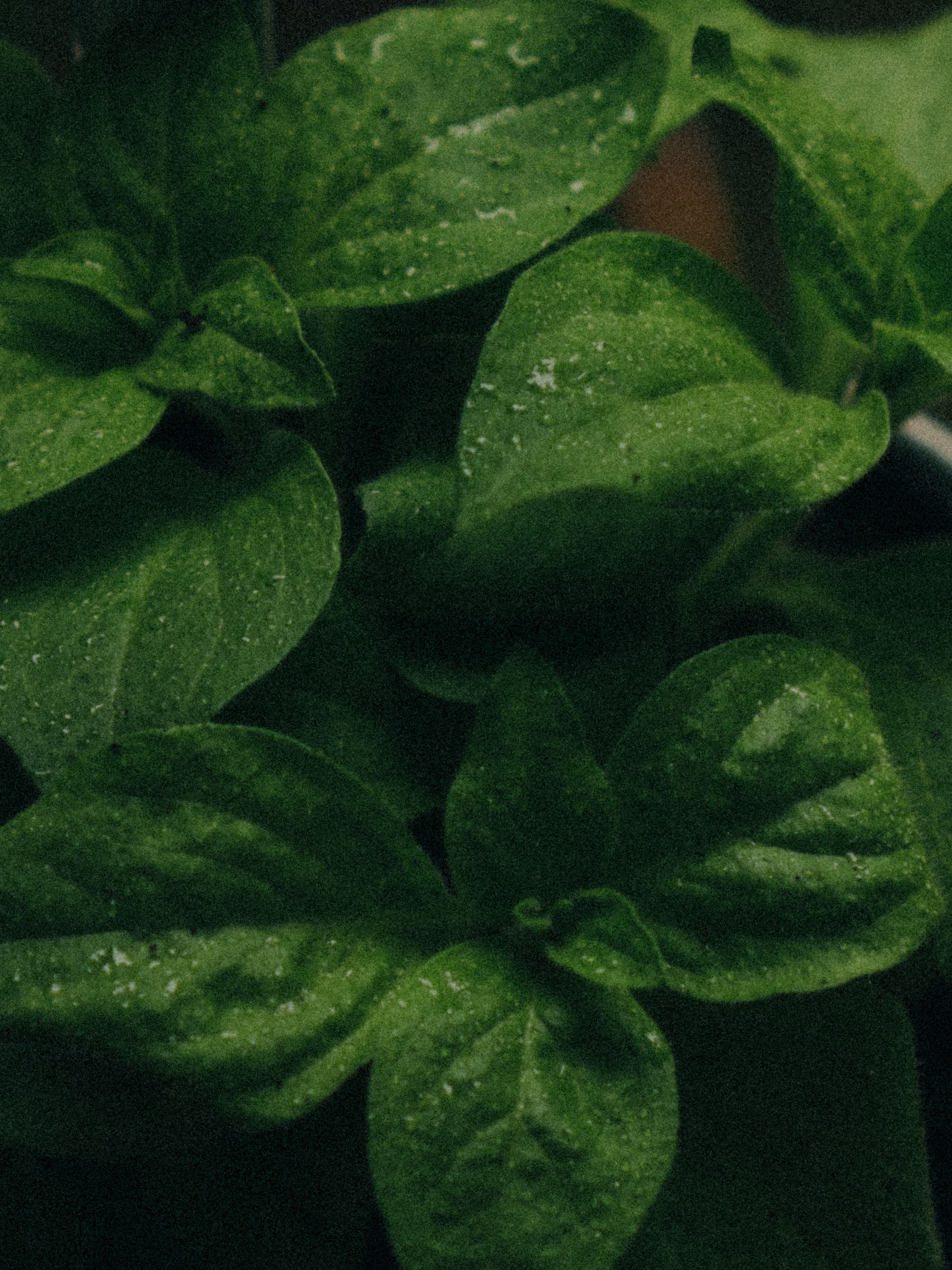 Nutrition Landscape Photos, Download The BEST Free Nutrition Landscape ...