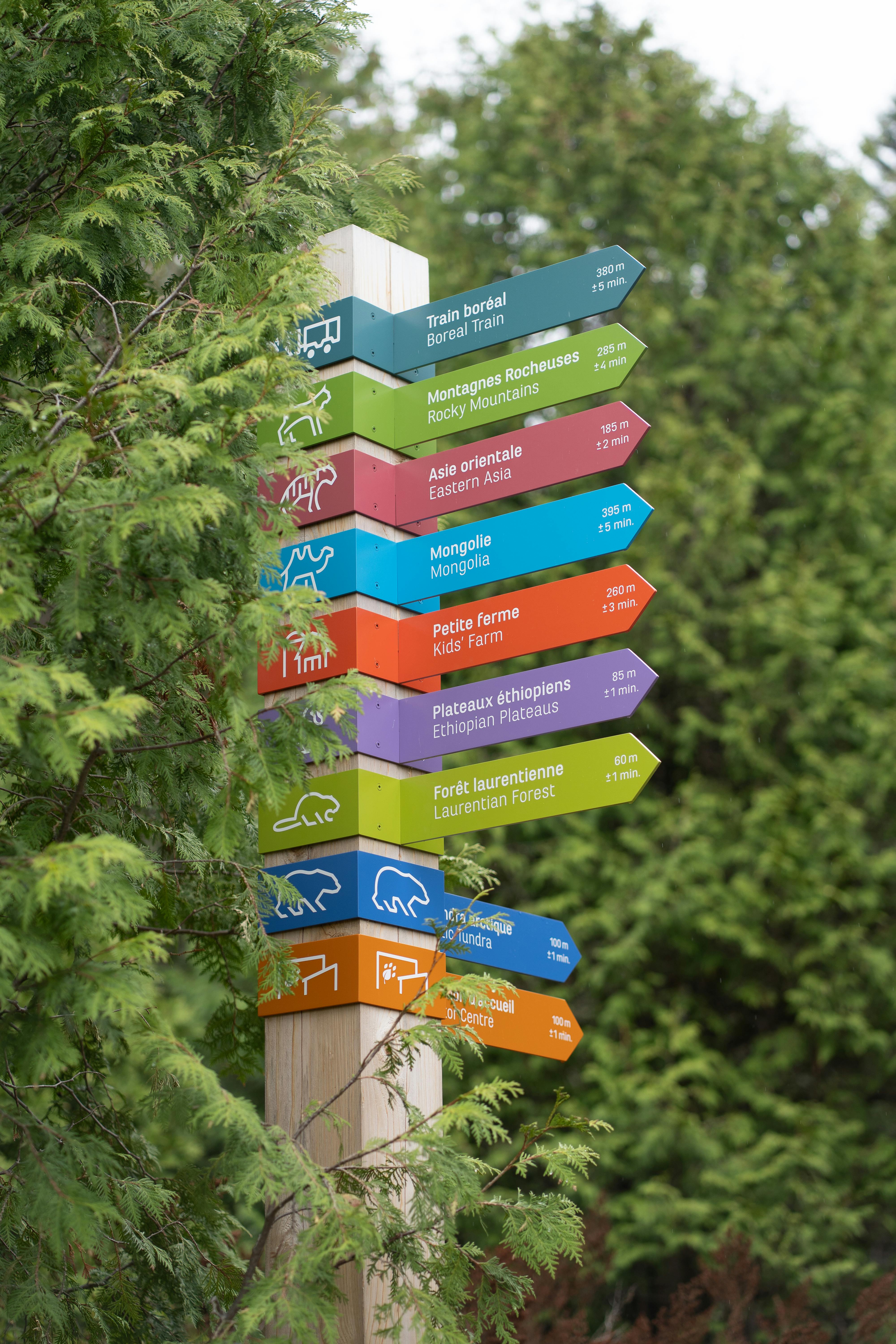 Colorful Signpost Amidst Lush Greenery · Free Stock Photo