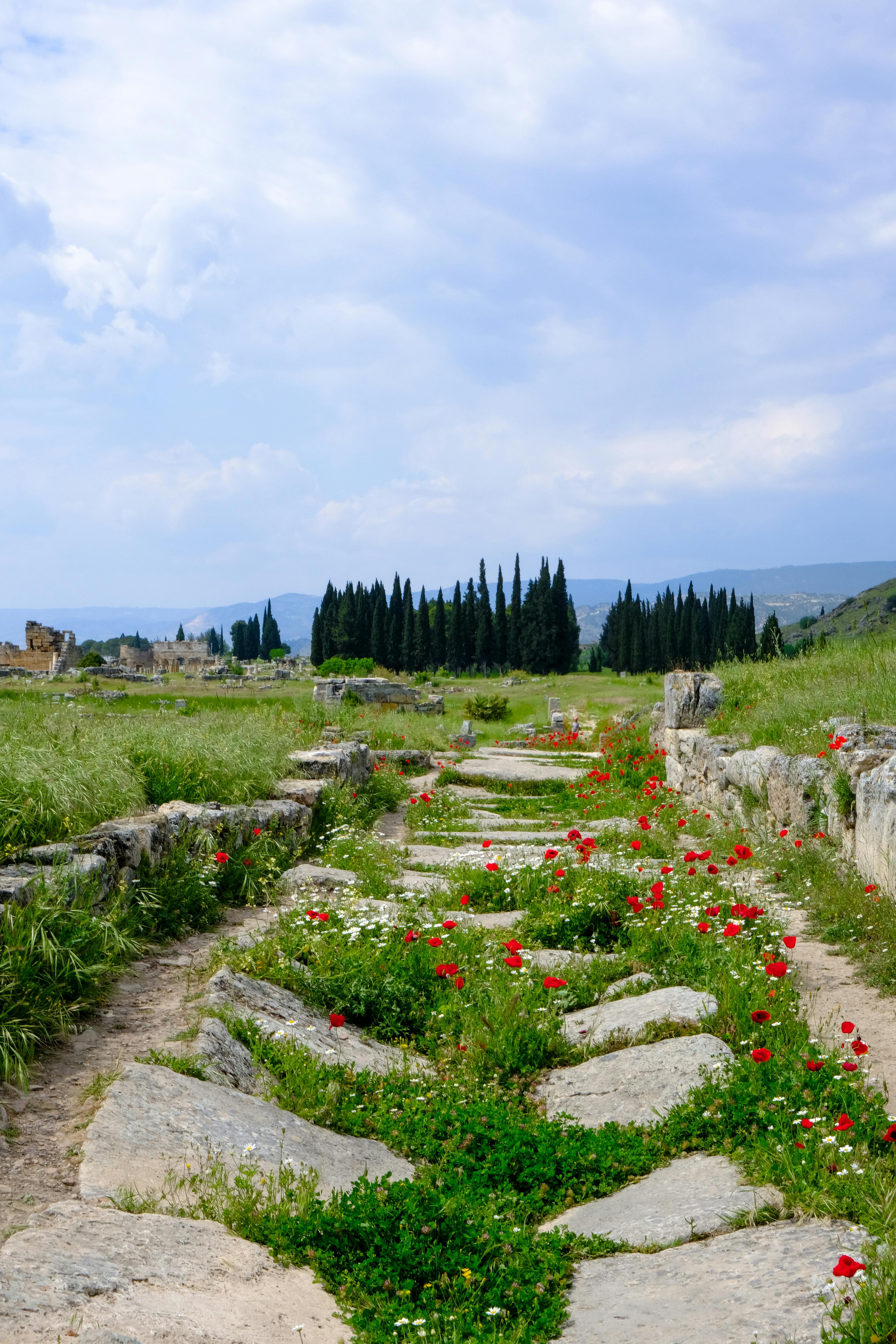 Ancient Roman Pathway with Wildflowers · Free Stock Photo