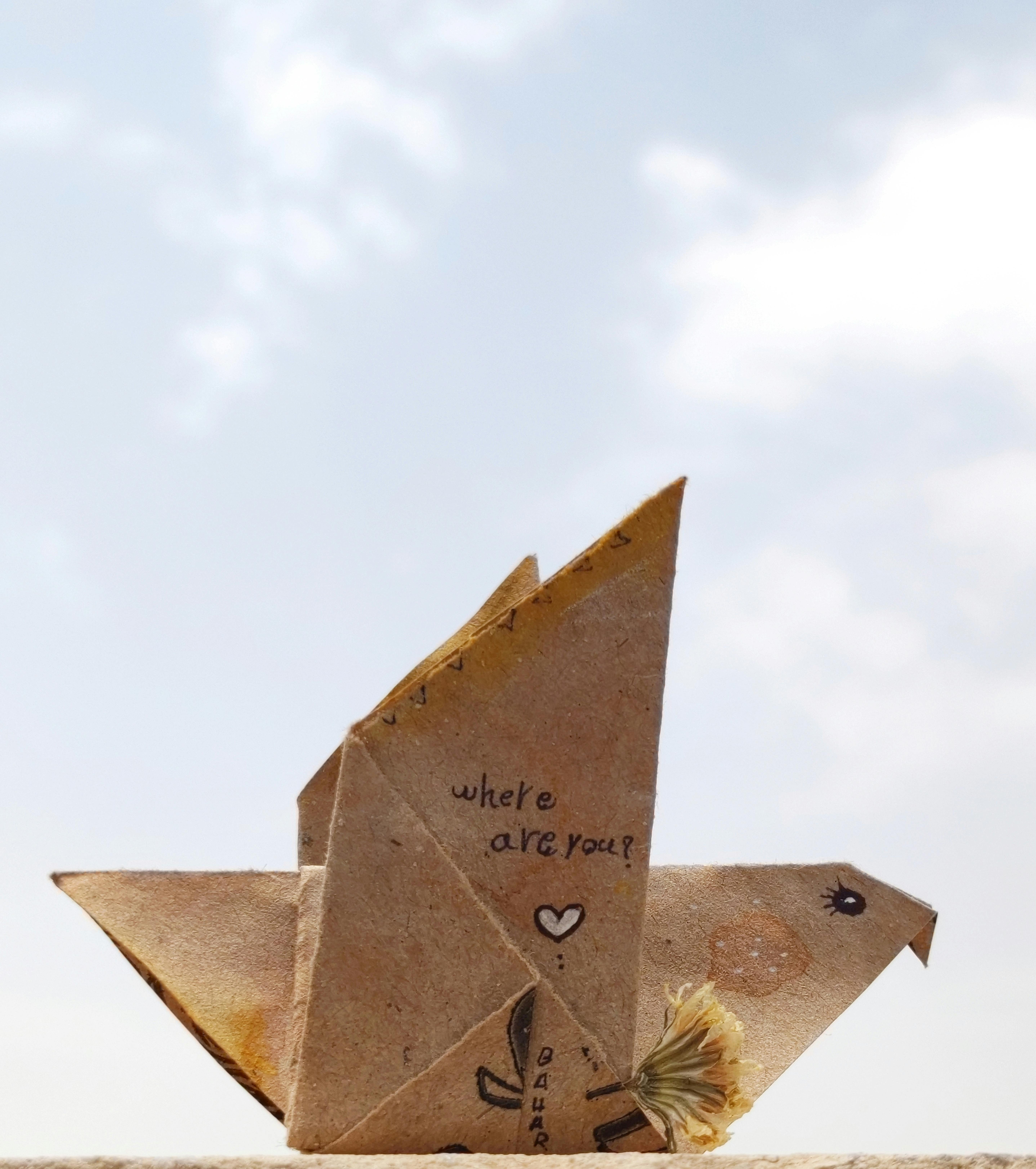 Outdoor Origami Photos, Download The BEST Free Outdoor Origami Stock ...