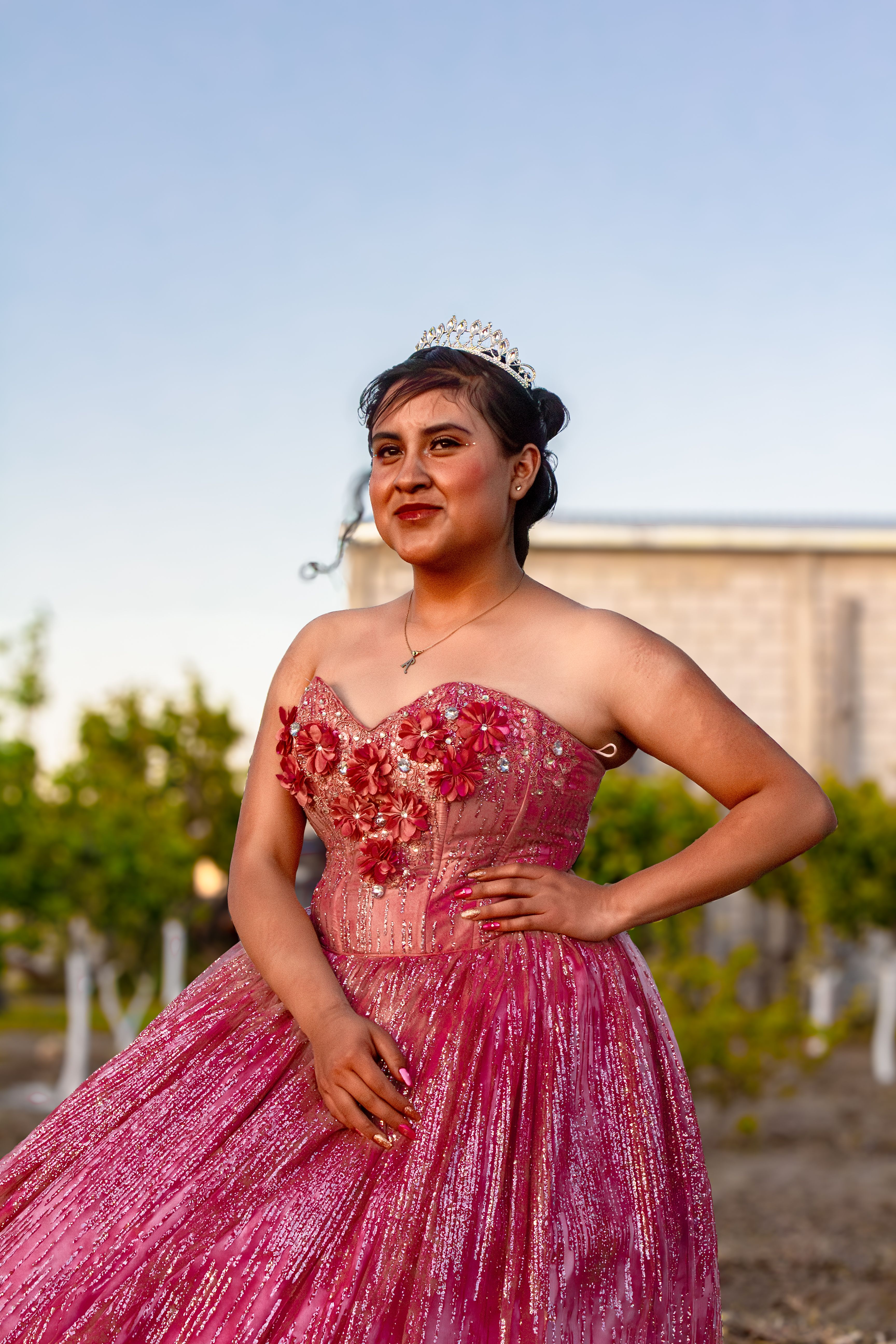 Outdoor Quinceañera Portrait in Pink Dress · Free Stock Photo