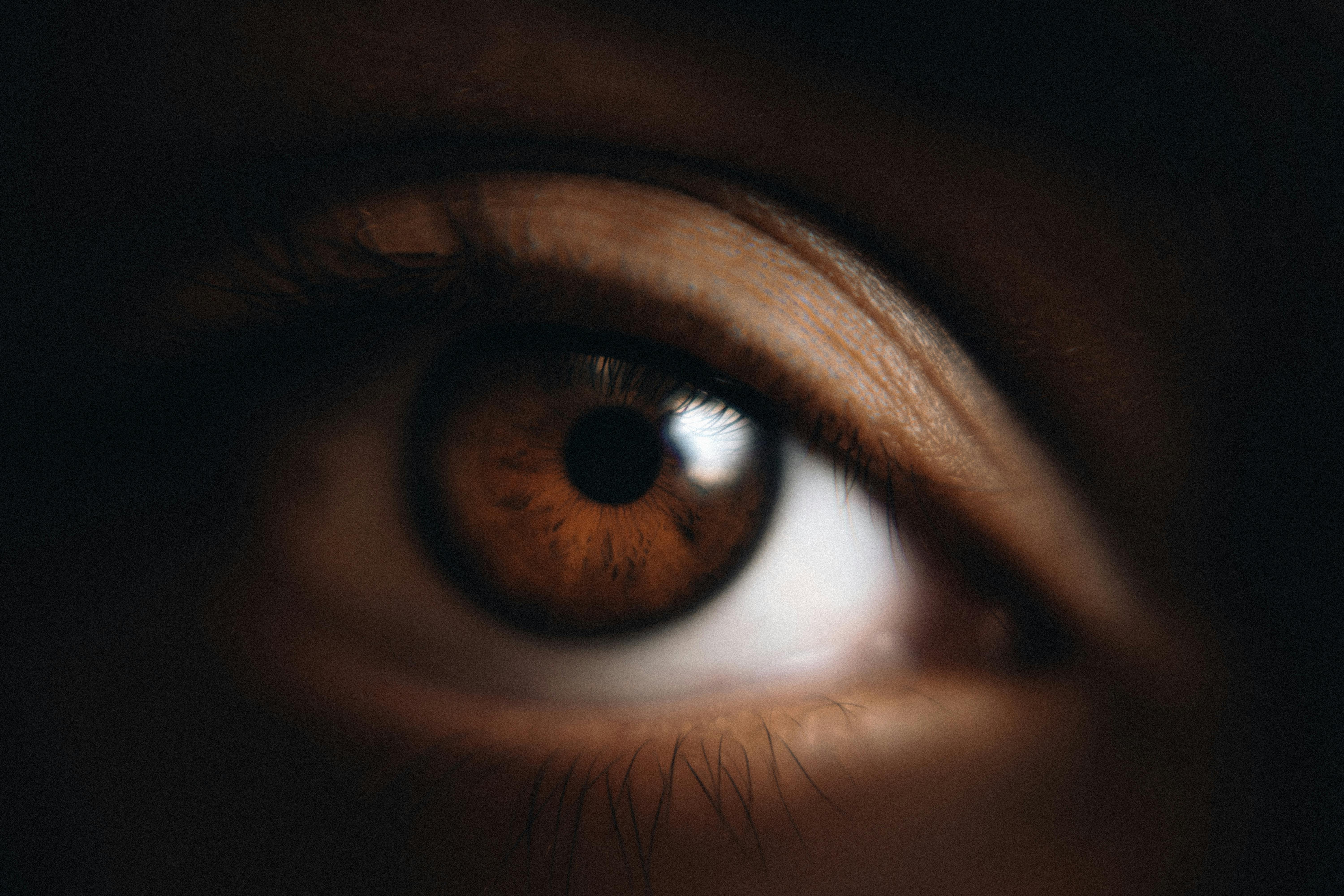 Left Human Eye · Free Stock Photo