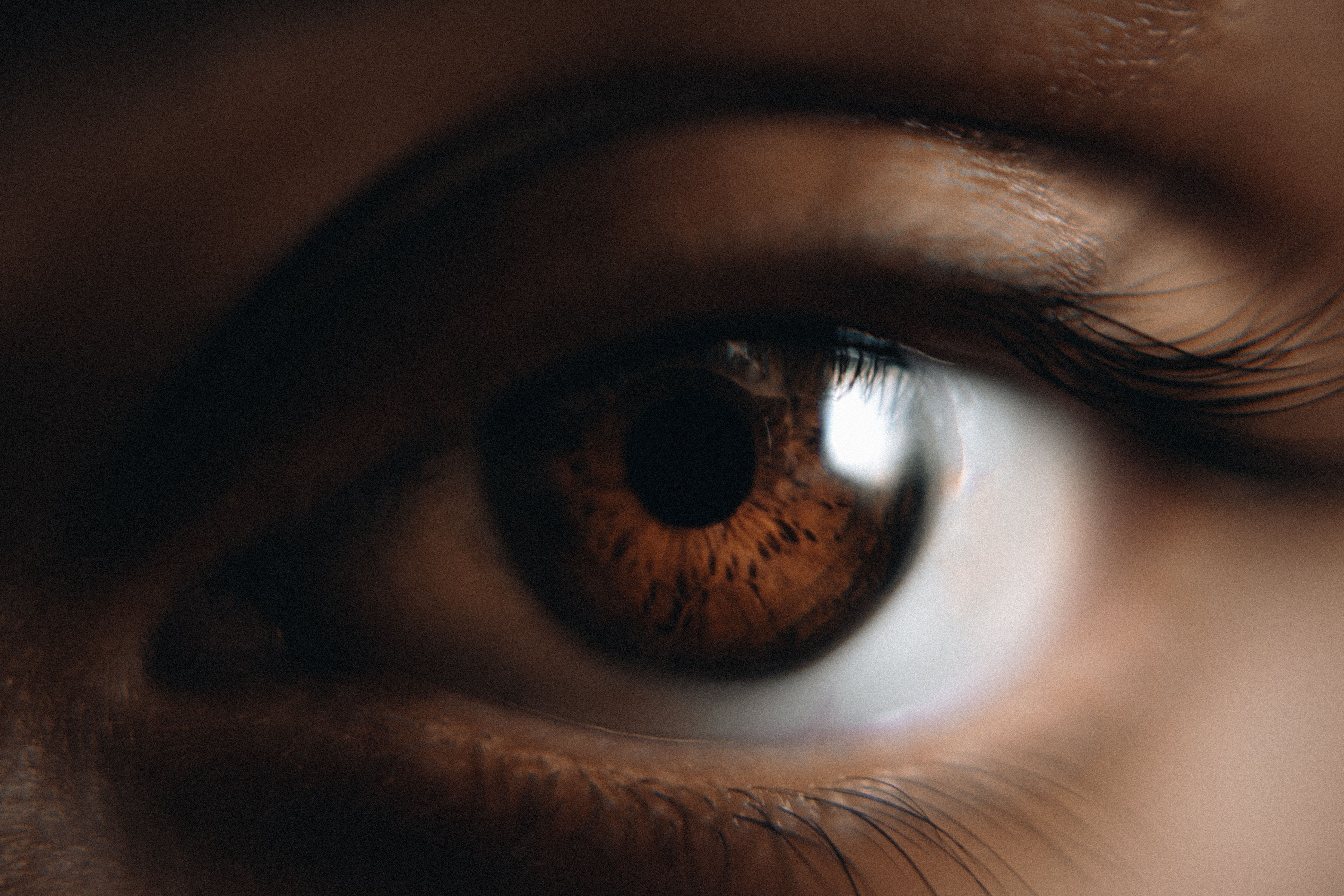 Parts Of An Eye Photos, Download The BEST Free Parts Of An Eye Stock ...