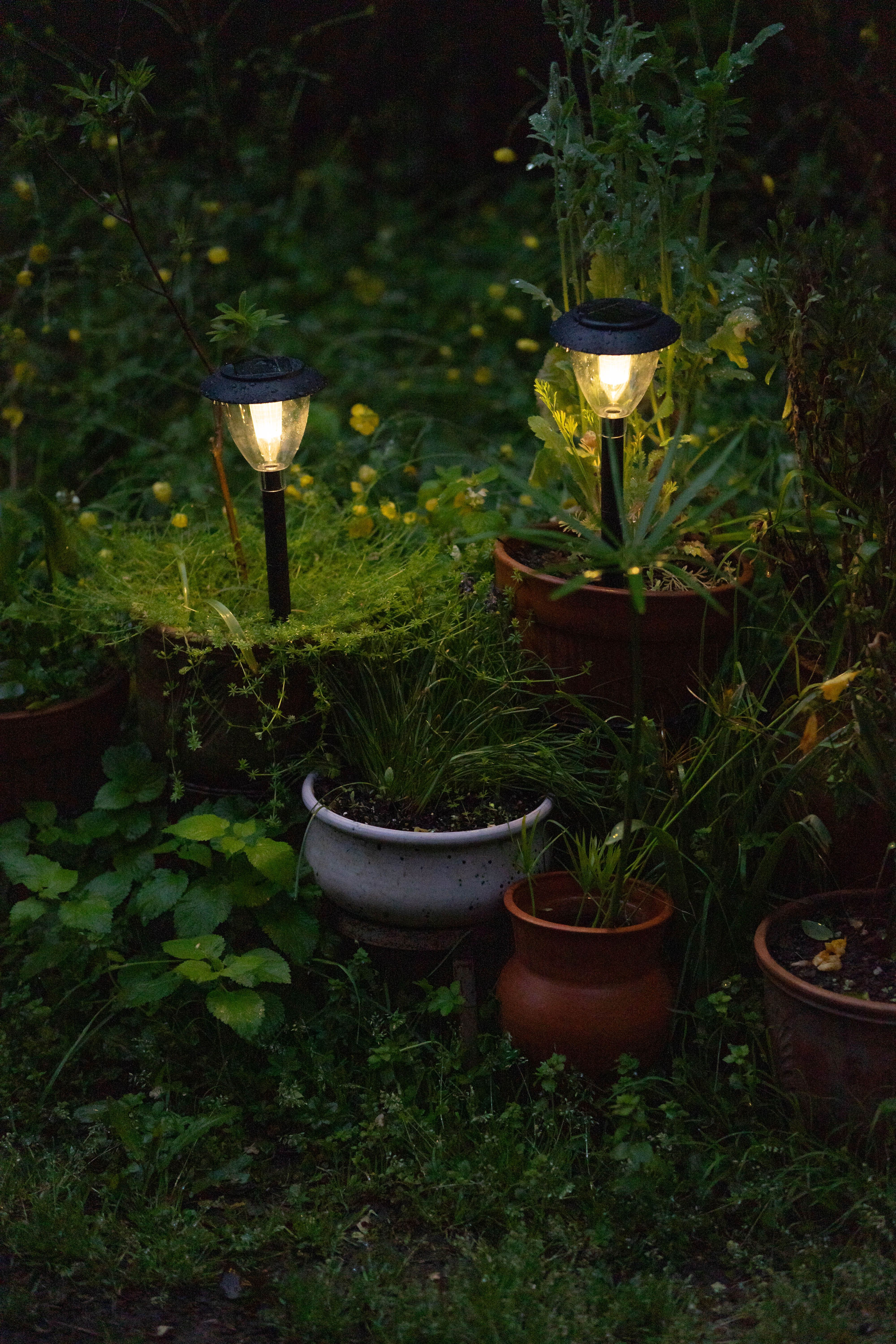 Backyard Garden At Night Photos, Download The BEST Free Backyard Garden ...