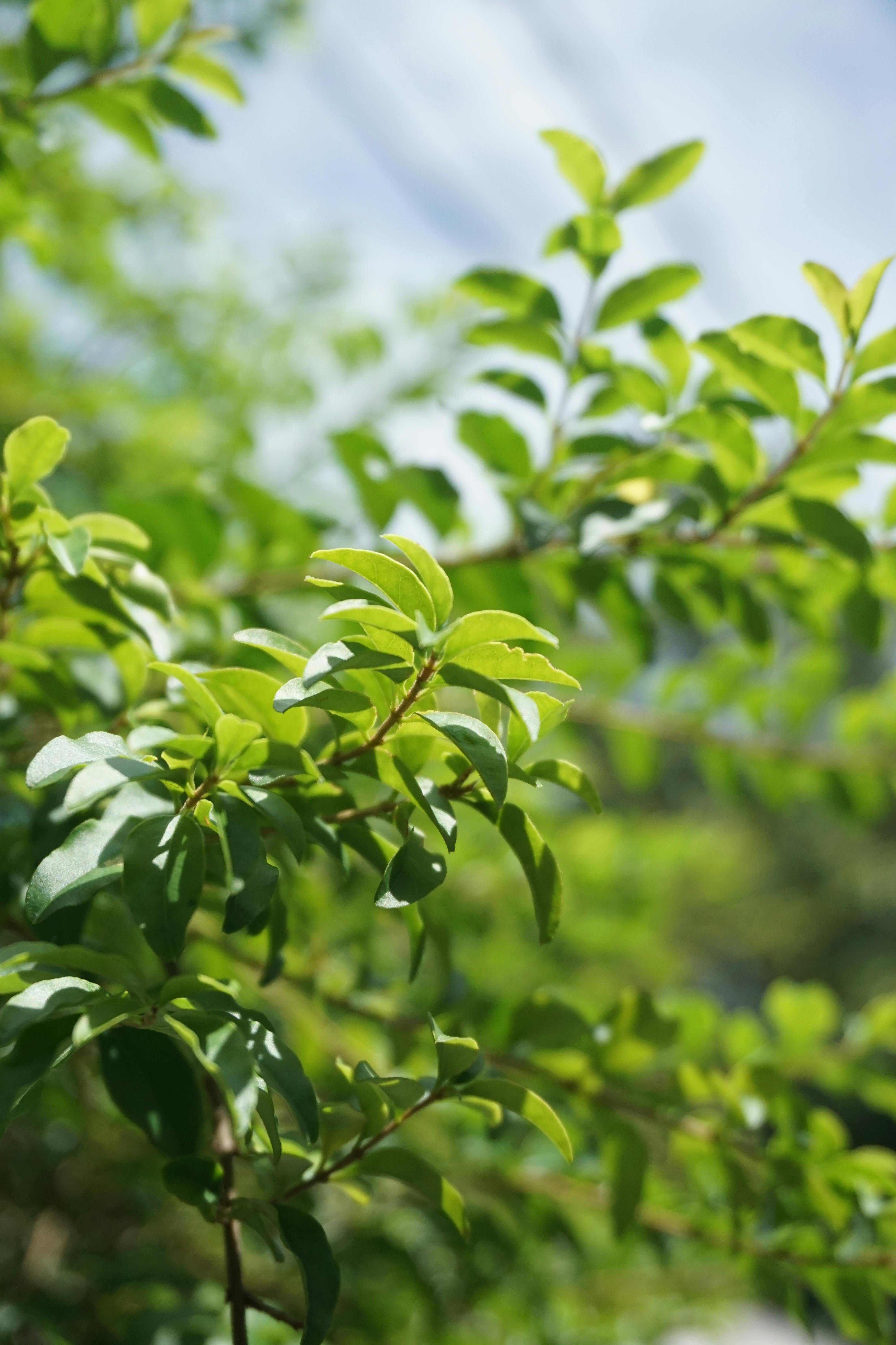 Rule Of Three Photos, Download The BEST Free Rule Of Three Stock Photos ...