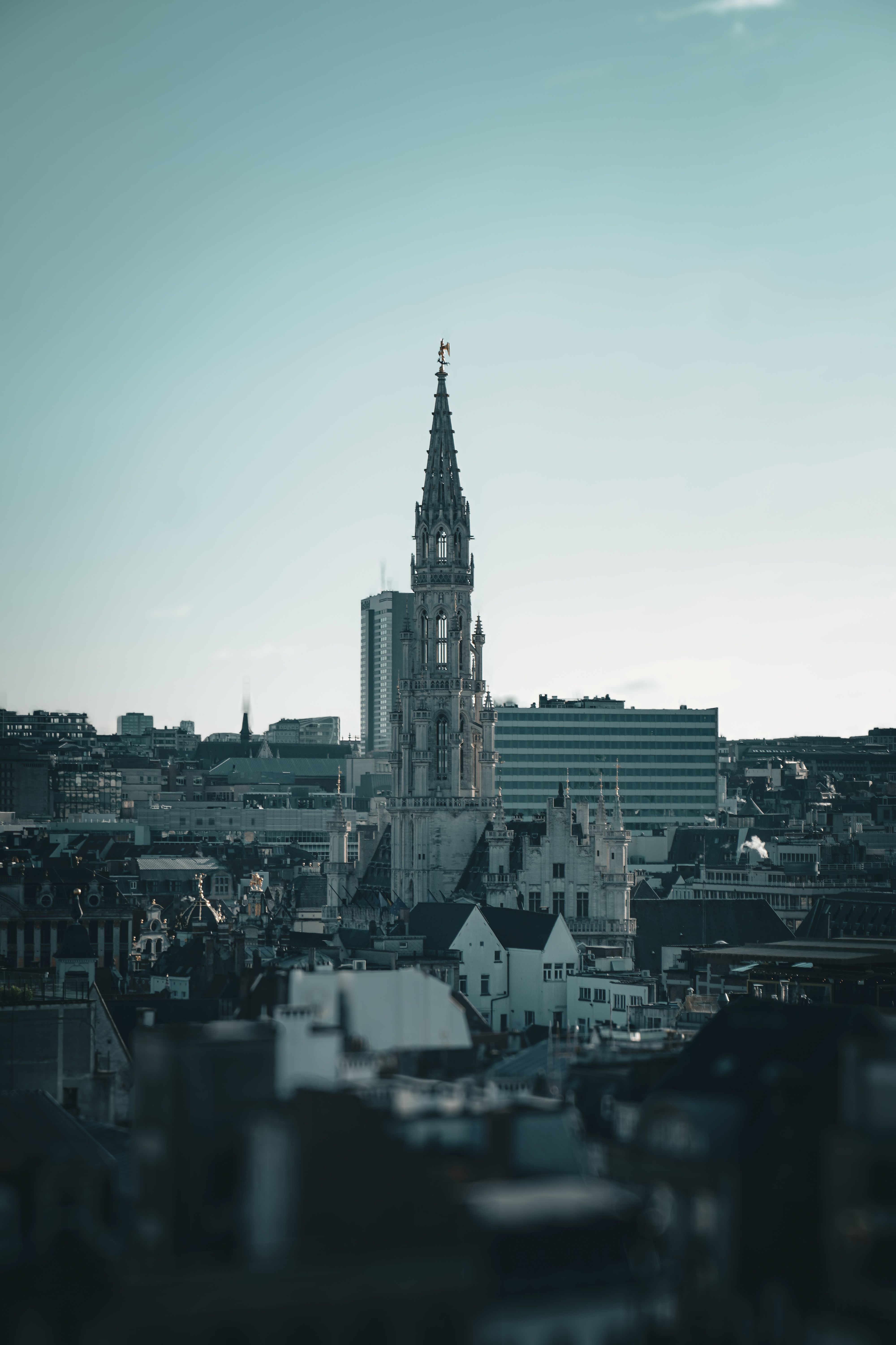 Stunning View of Brussels Town Hall Tower · Free Stock Photo