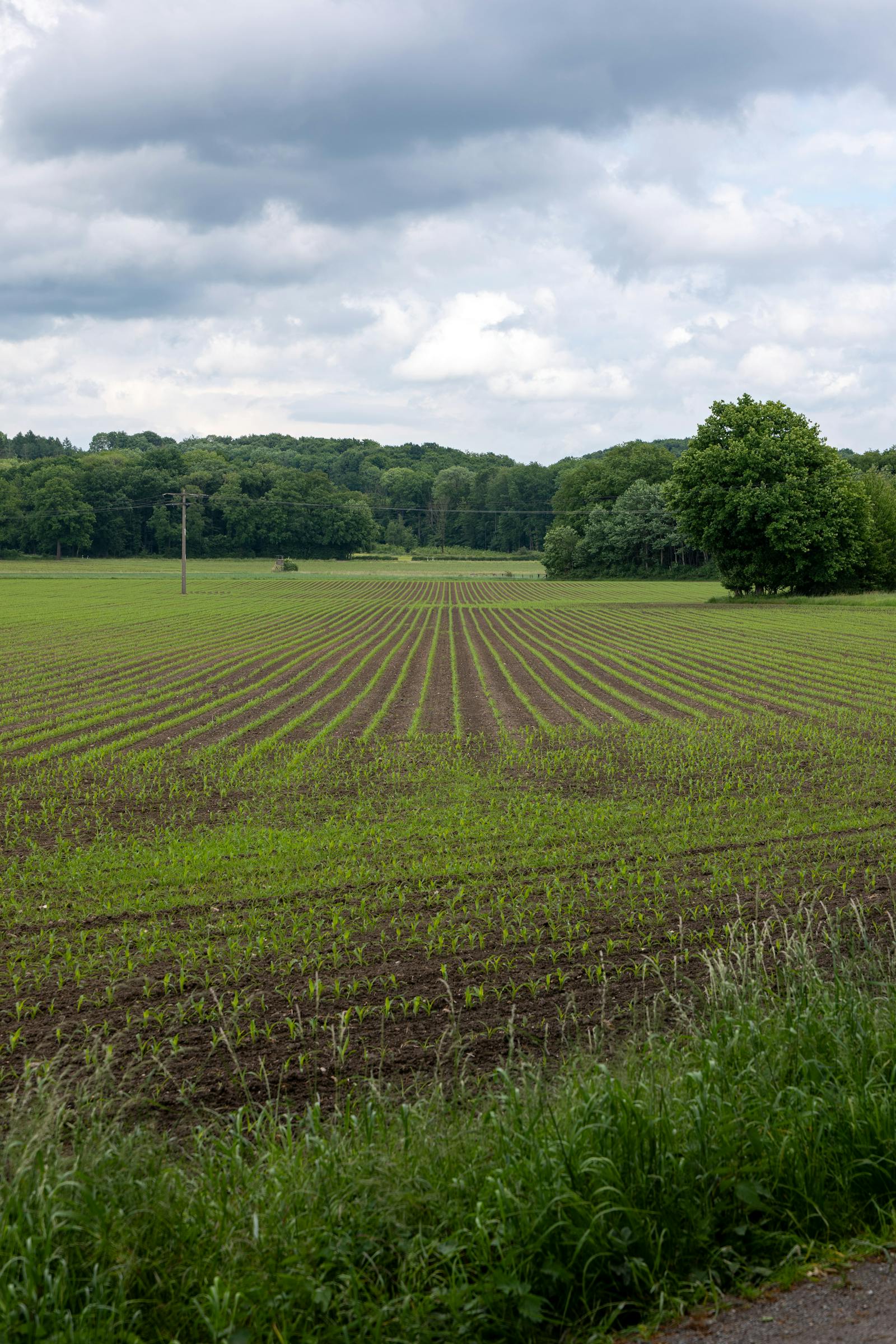 Italien+Crop+Frisur+Bilder Photos, Download The BEST Free Italien+Crop ...