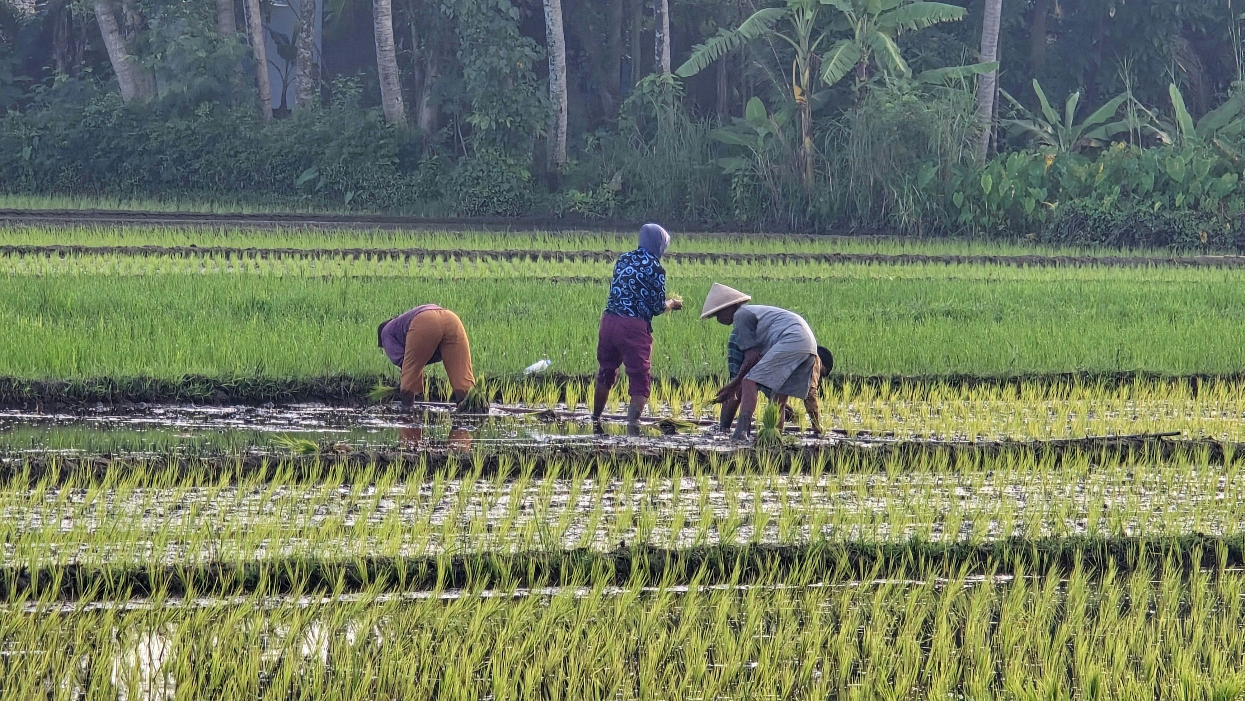 Capgemini+Wallpaper Photos, Download The BEST Free Capgemini+Wallpaper ...