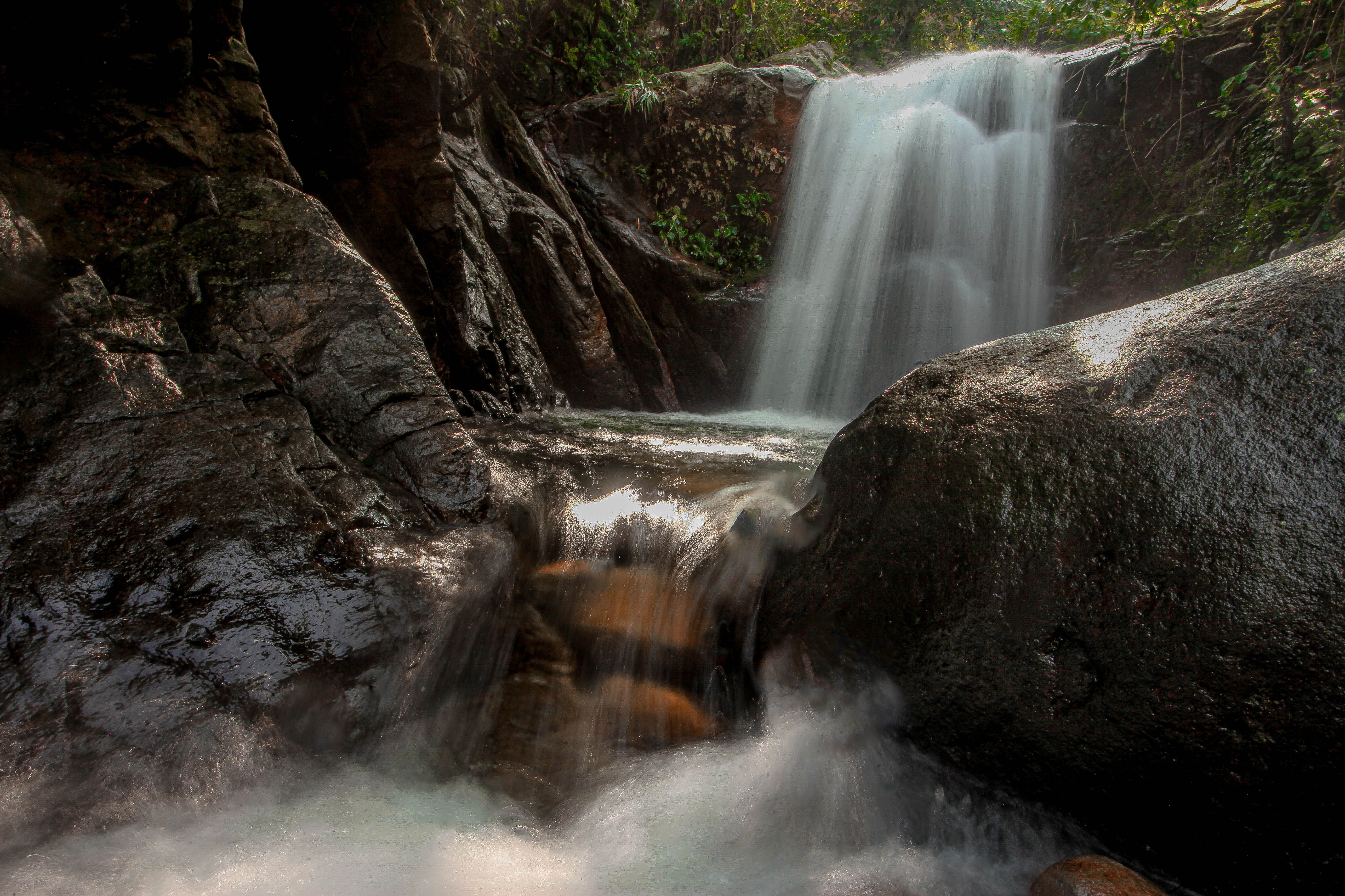 Green and Brown Waterfalls · Free Stock Photo