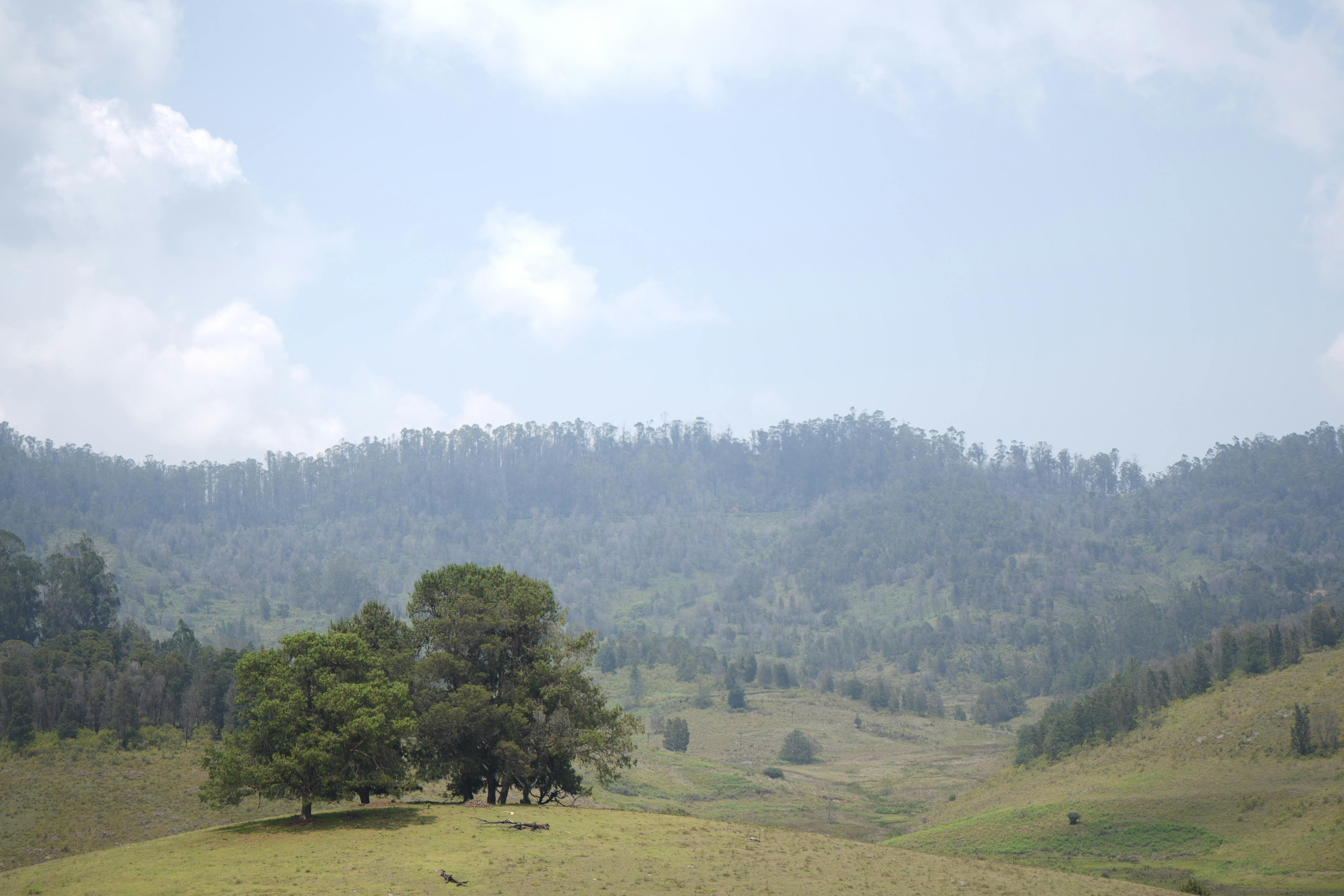 Smock Background Photos, Download The BEST Free Smock Background Stock ...