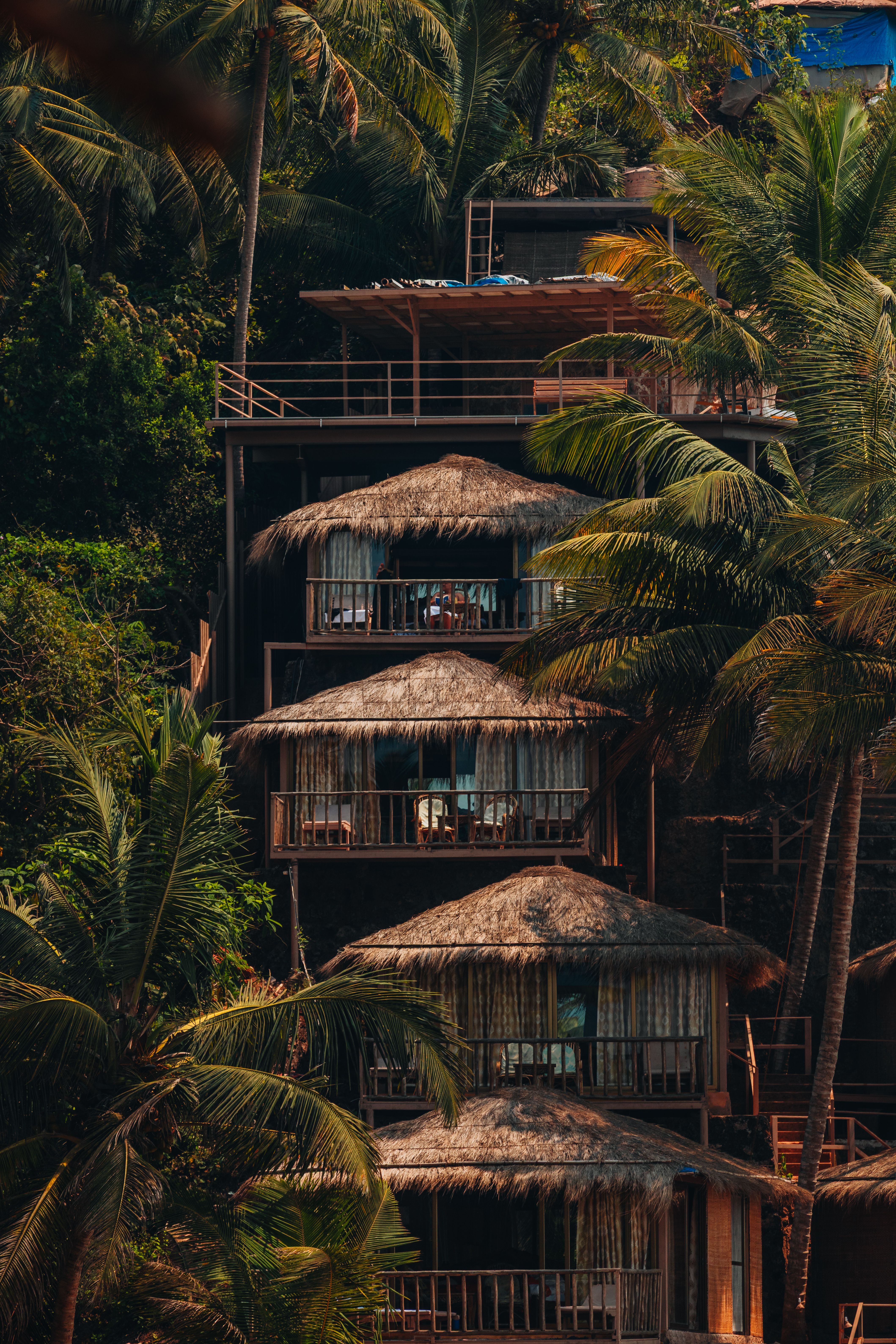 Tropical Resort Huts Amidst Lush Palm Trees · Free Stock Photo