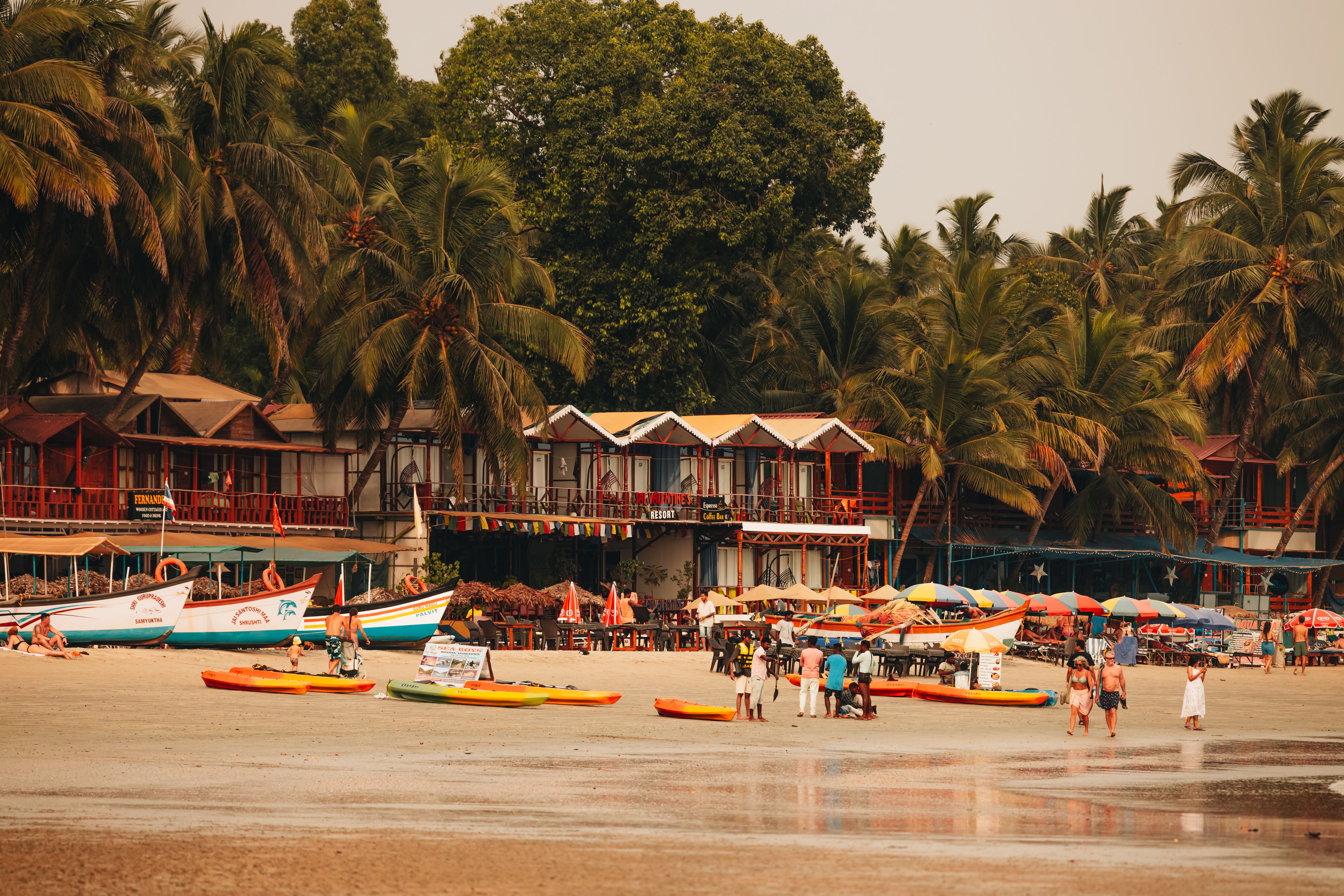 Vibrant Beachfront with Colorful Boats and Palm Trees · Free Stock Photo