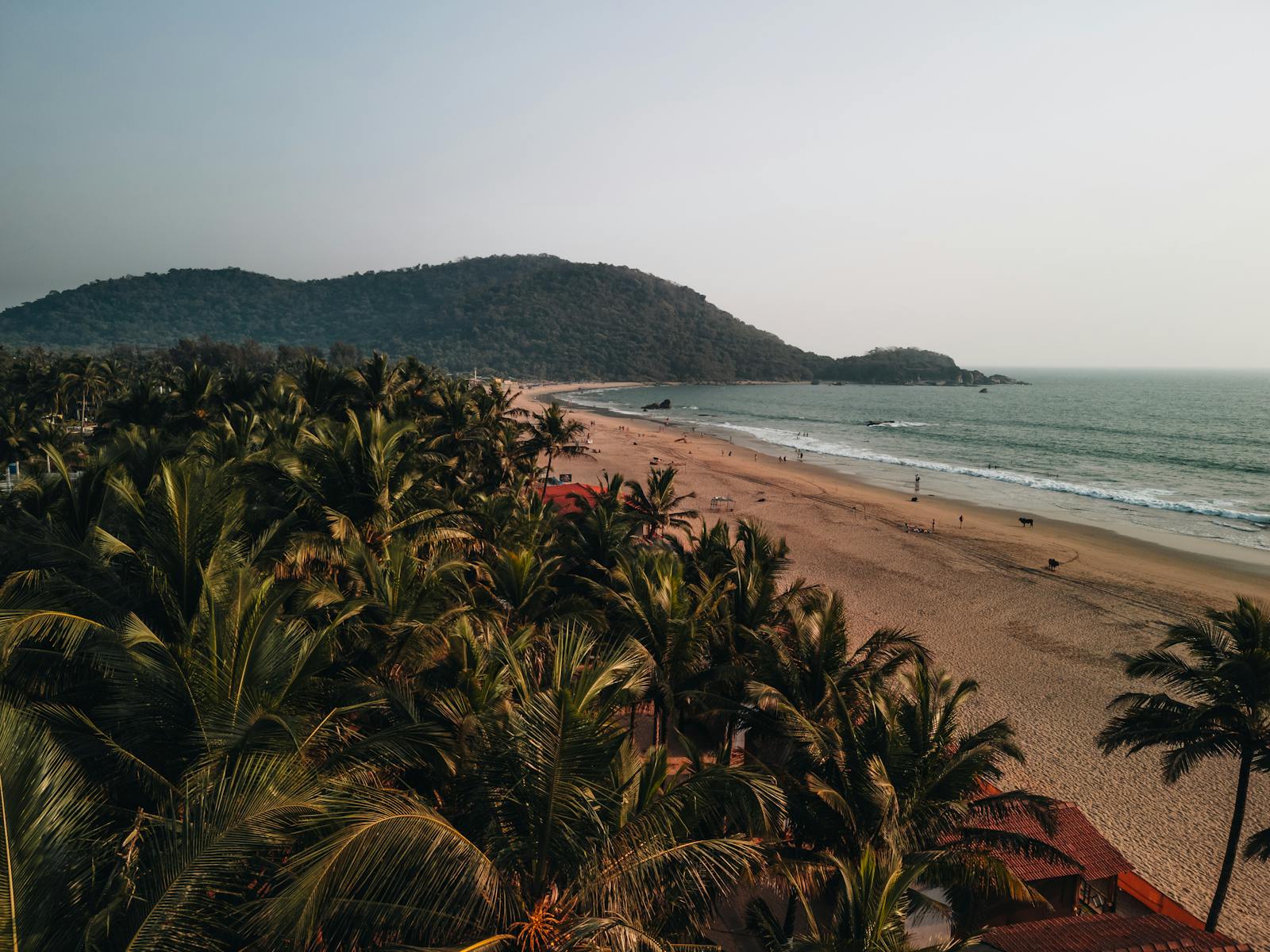 Goa 4k Photos, Download The BEST Free Goa 4k Stock Photos & HD Images