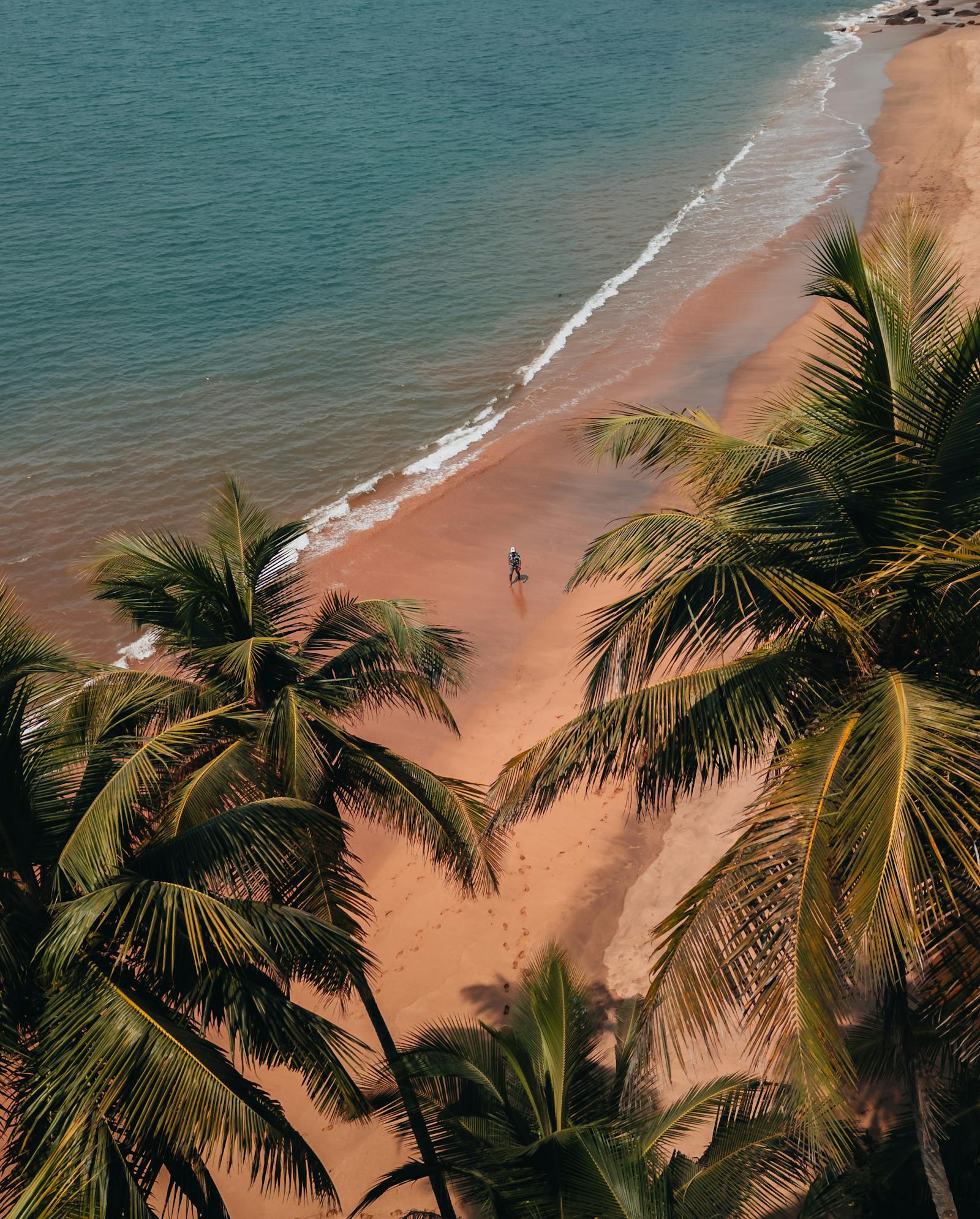 Goa 4k Photos, Download The BEST Free Goa 4k Stock Photos & HD Images