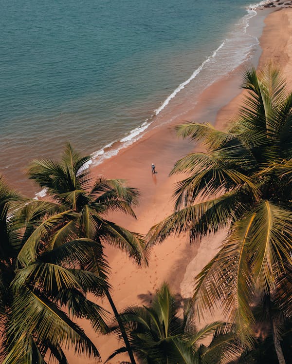 Goa 4k Photos, Download The BEST Free Goa 4k Stock Photos & HD Images