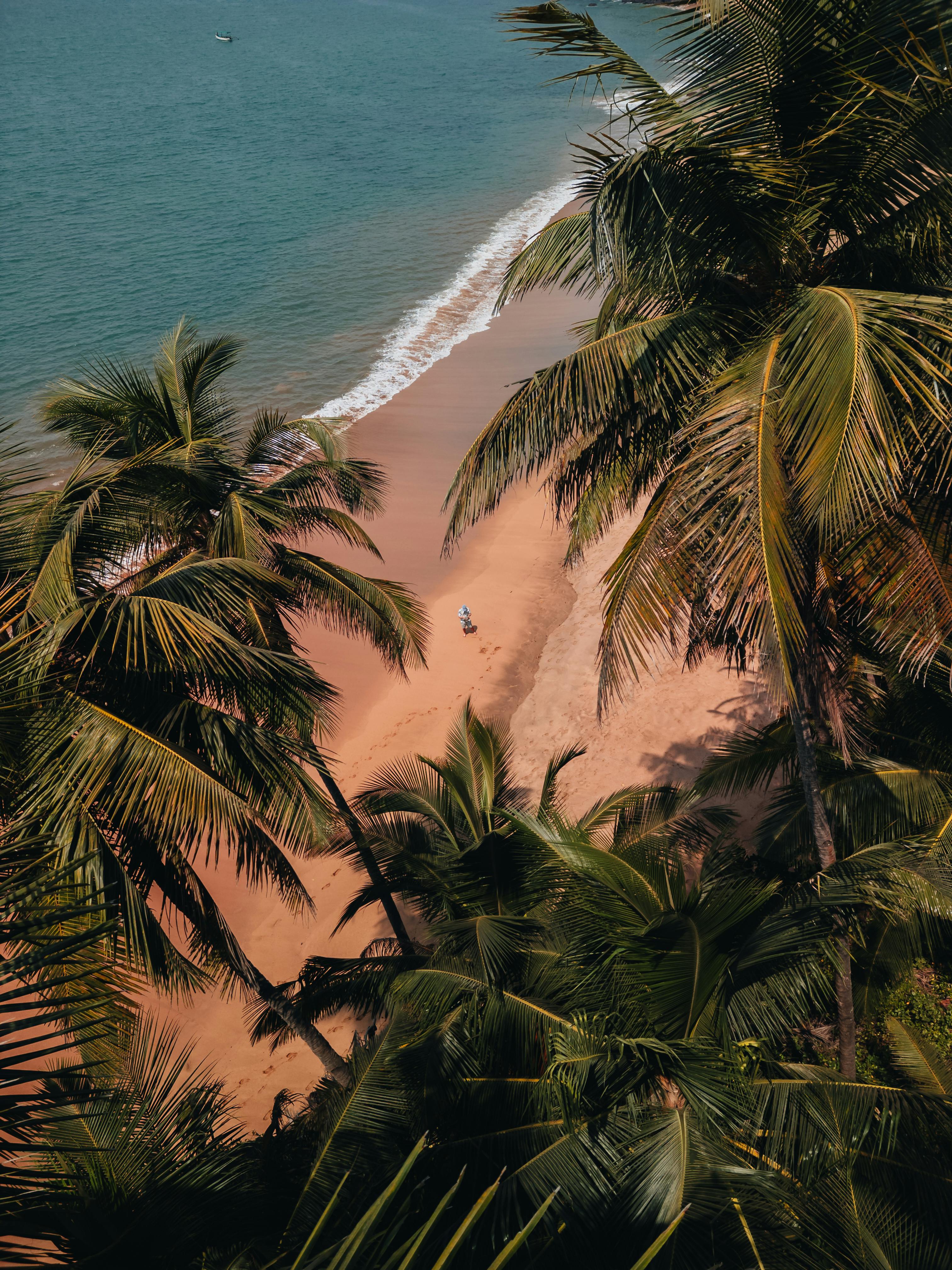 Goa 4k Photos, Download The BEST Free Goa 4k Stock Photos & HD Images