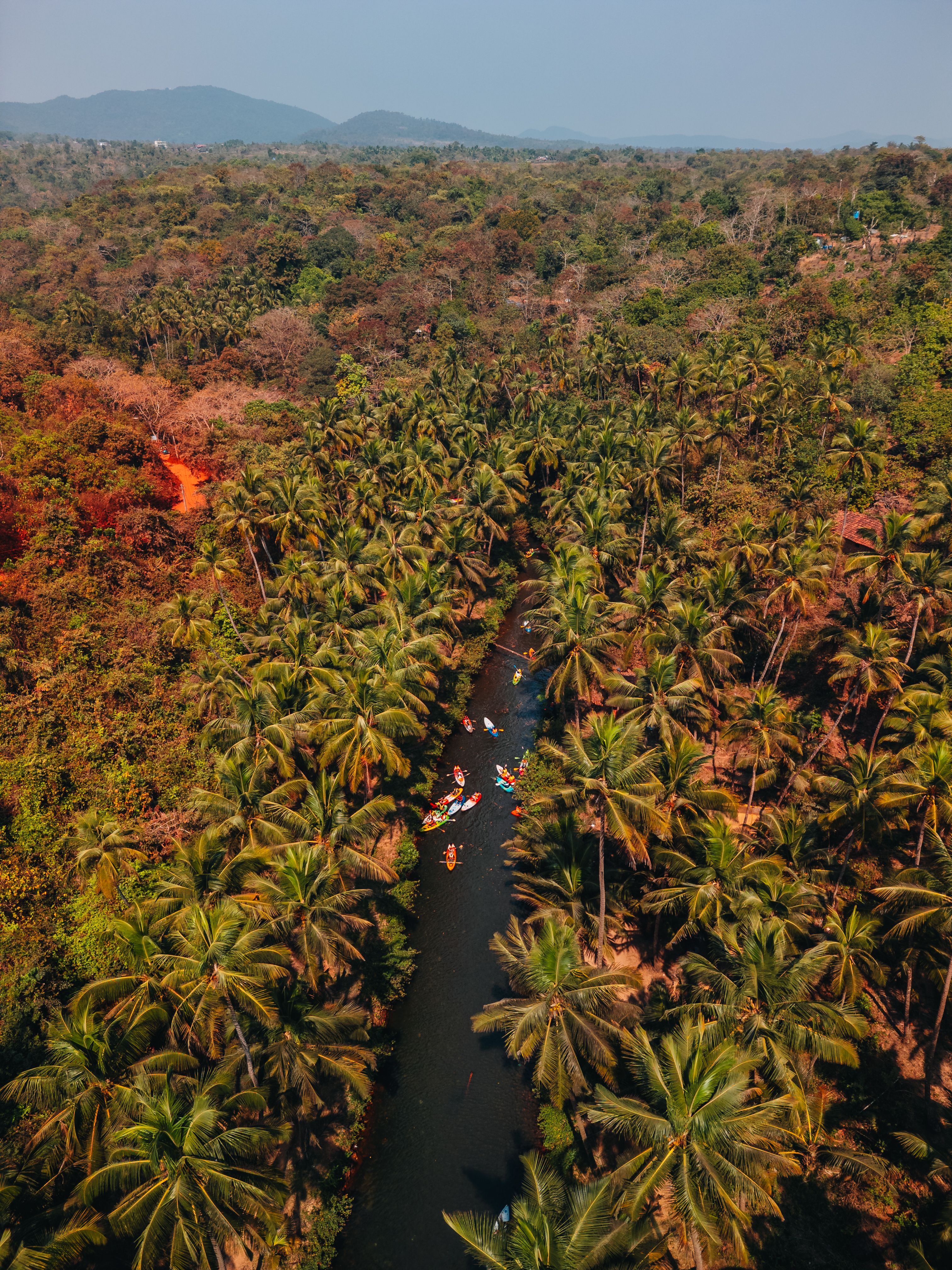 Aerial View of Palm Forest River in Goa · Free Stock Photo