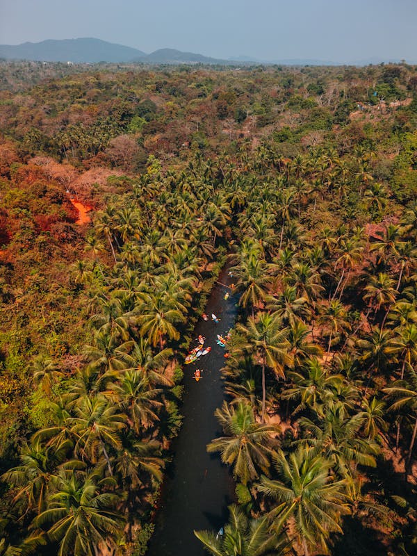 Goa 4k Photos, Download The BEST Free Goa 4k Stock Photos & HD Images