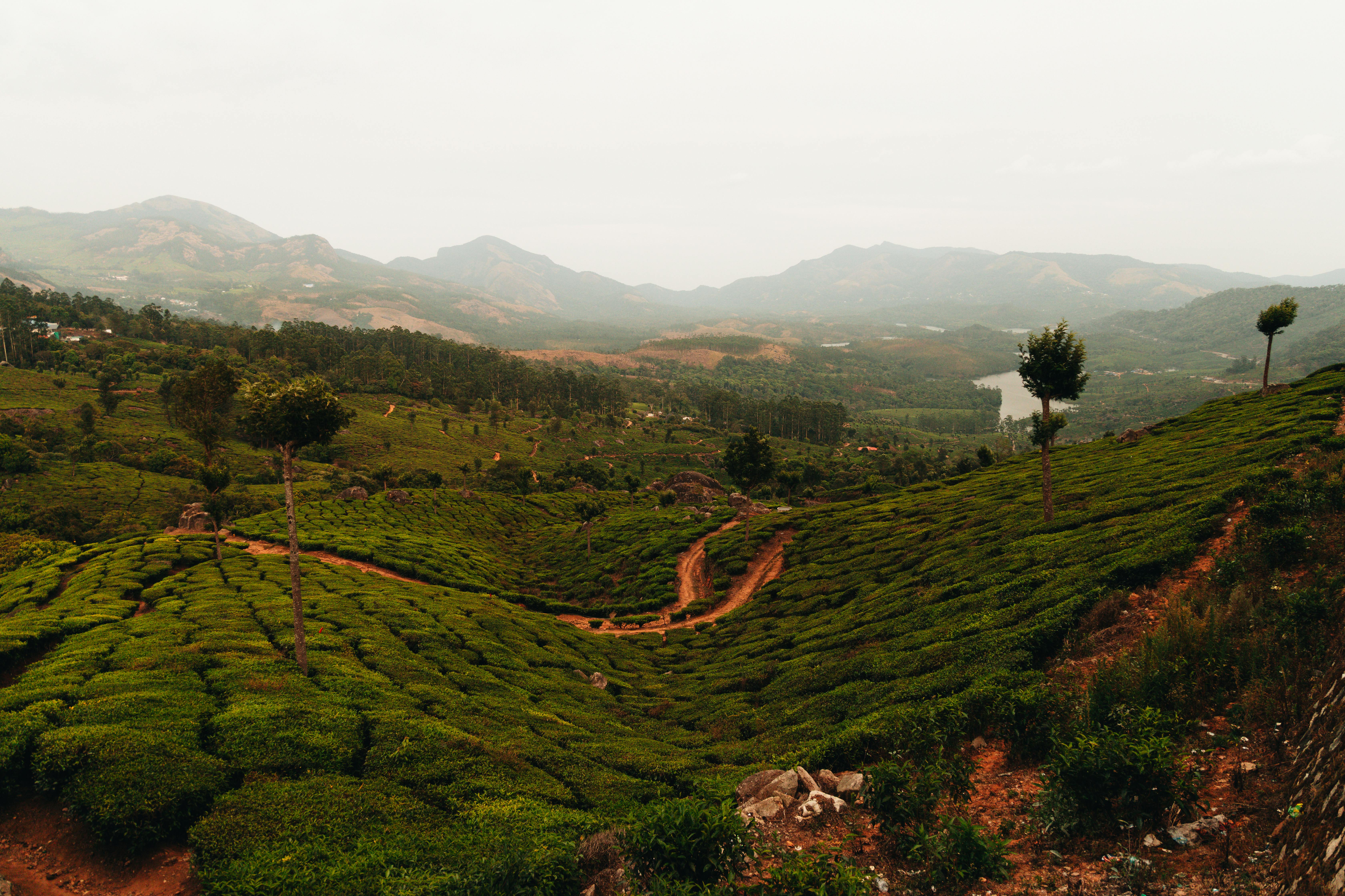 10mb Image Photos, Download The BEST Free 10mb Image Stock Photos & HD ...