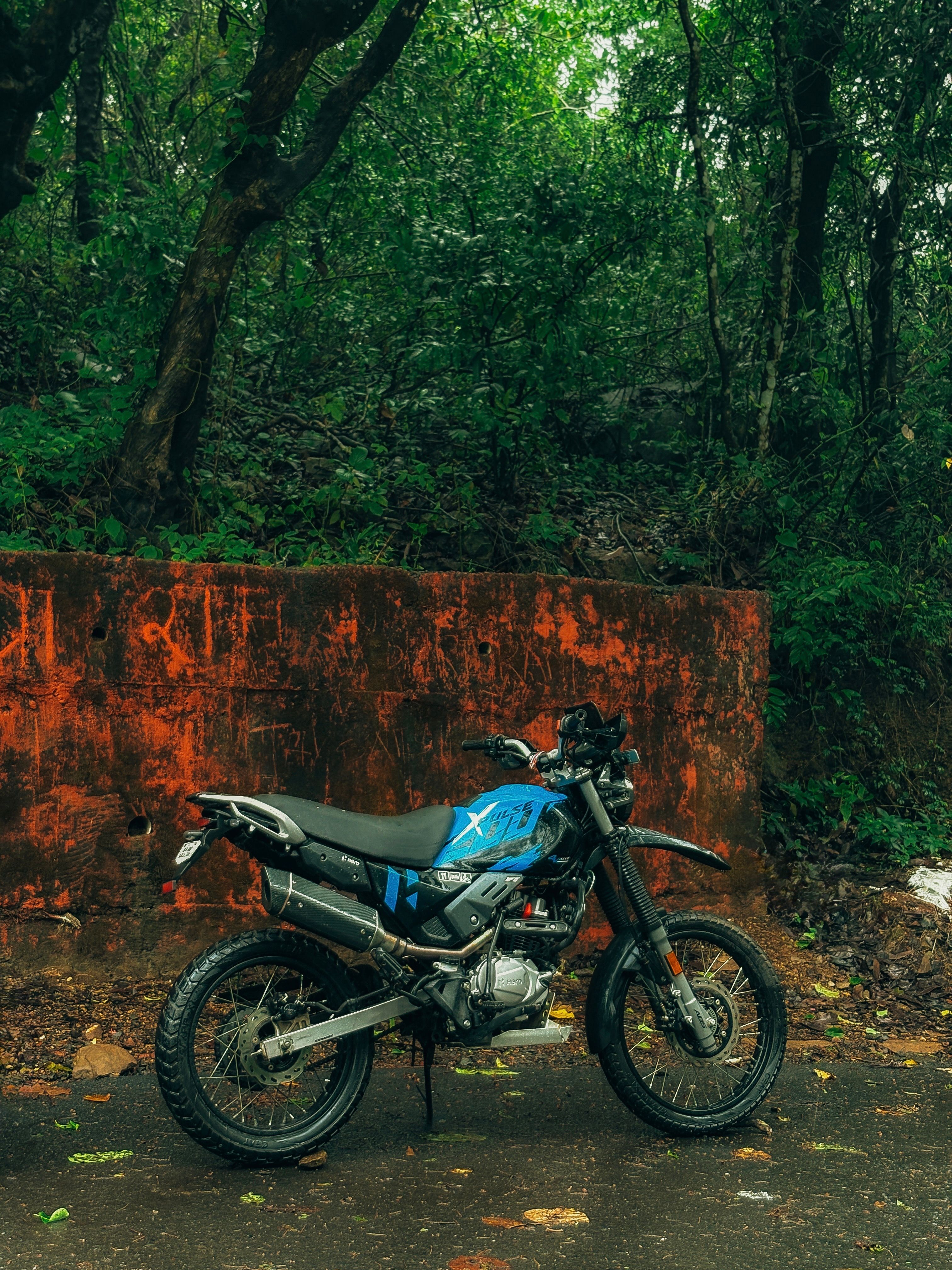 Adventure Bike in Lush Indian Forest · Free Stock Photo