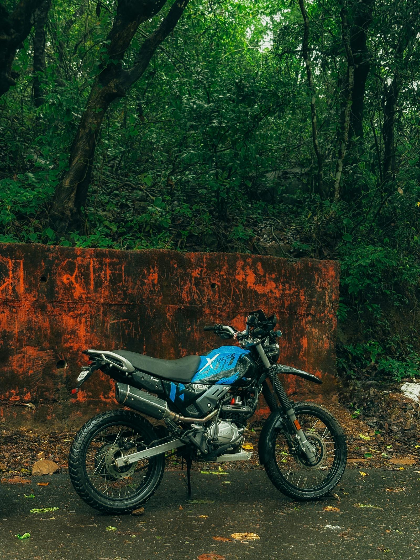 50,000+ Best Bike Riding Photos · 100% Free Download · Pexels Stock Photos