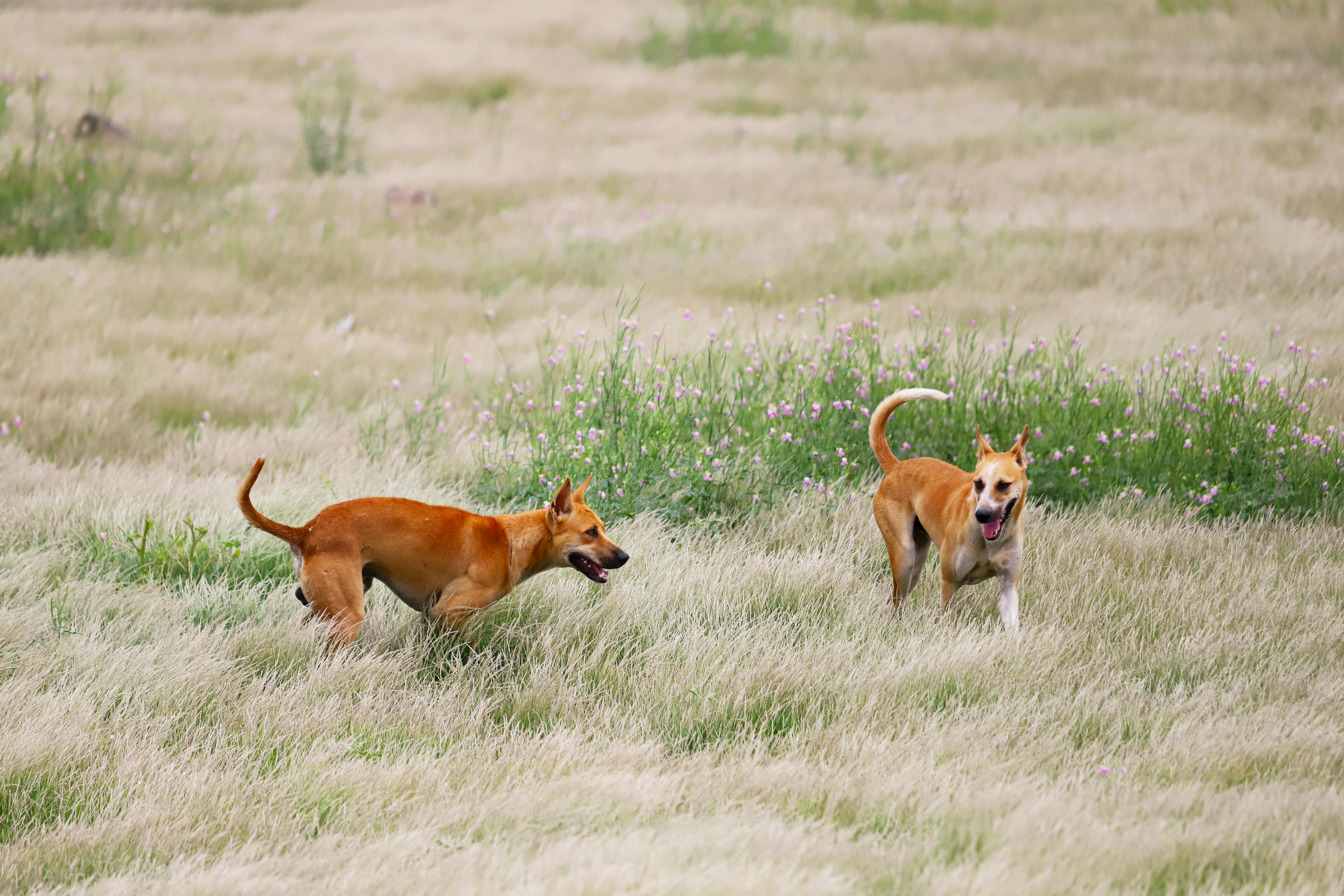 Naomi+And+Sergei+Duo+Pictures Photos, Download The BEST Free Naomi+And ...