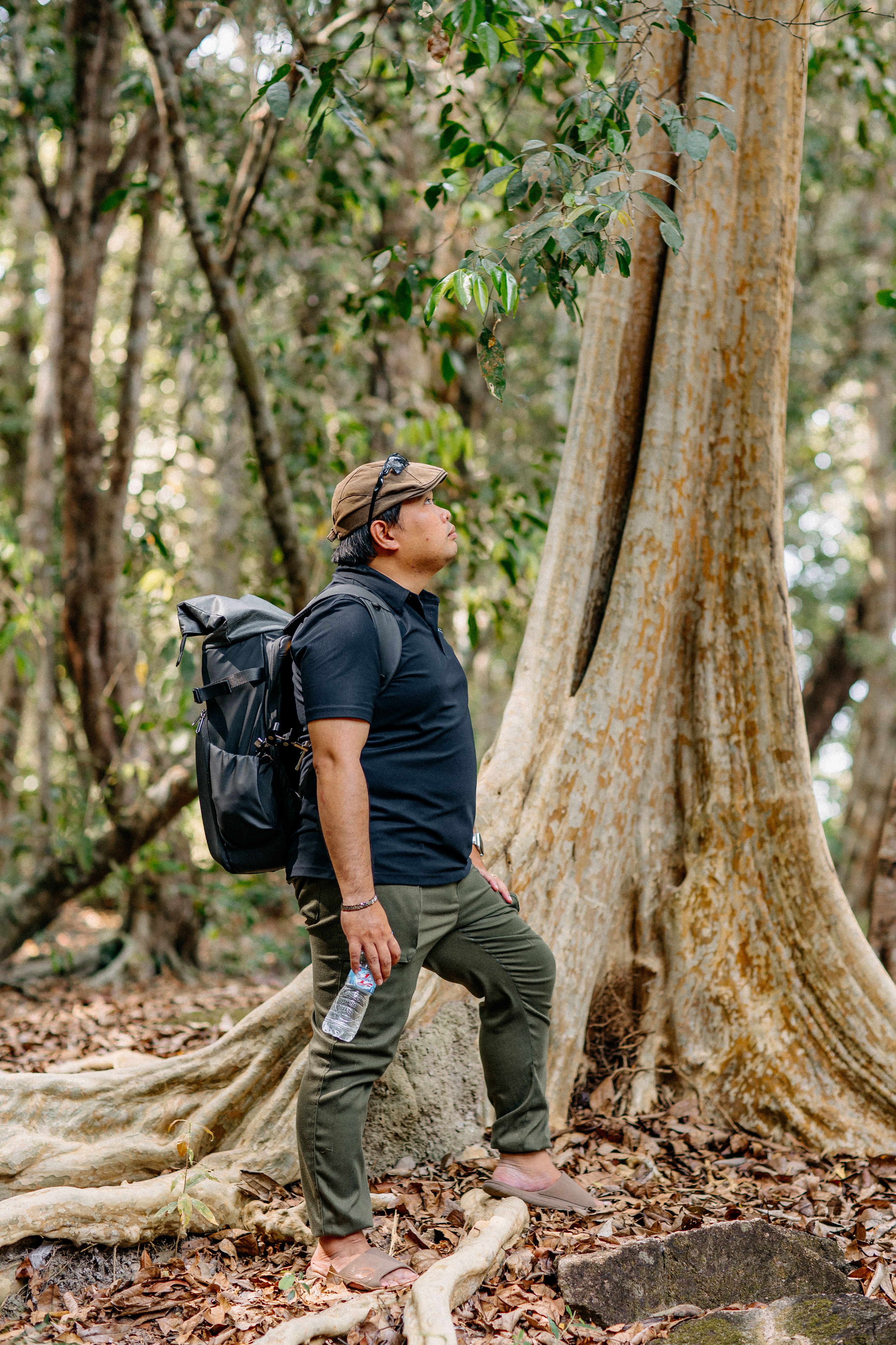 Man Enjoying Nature Walk in Forest · Free Stock Photo