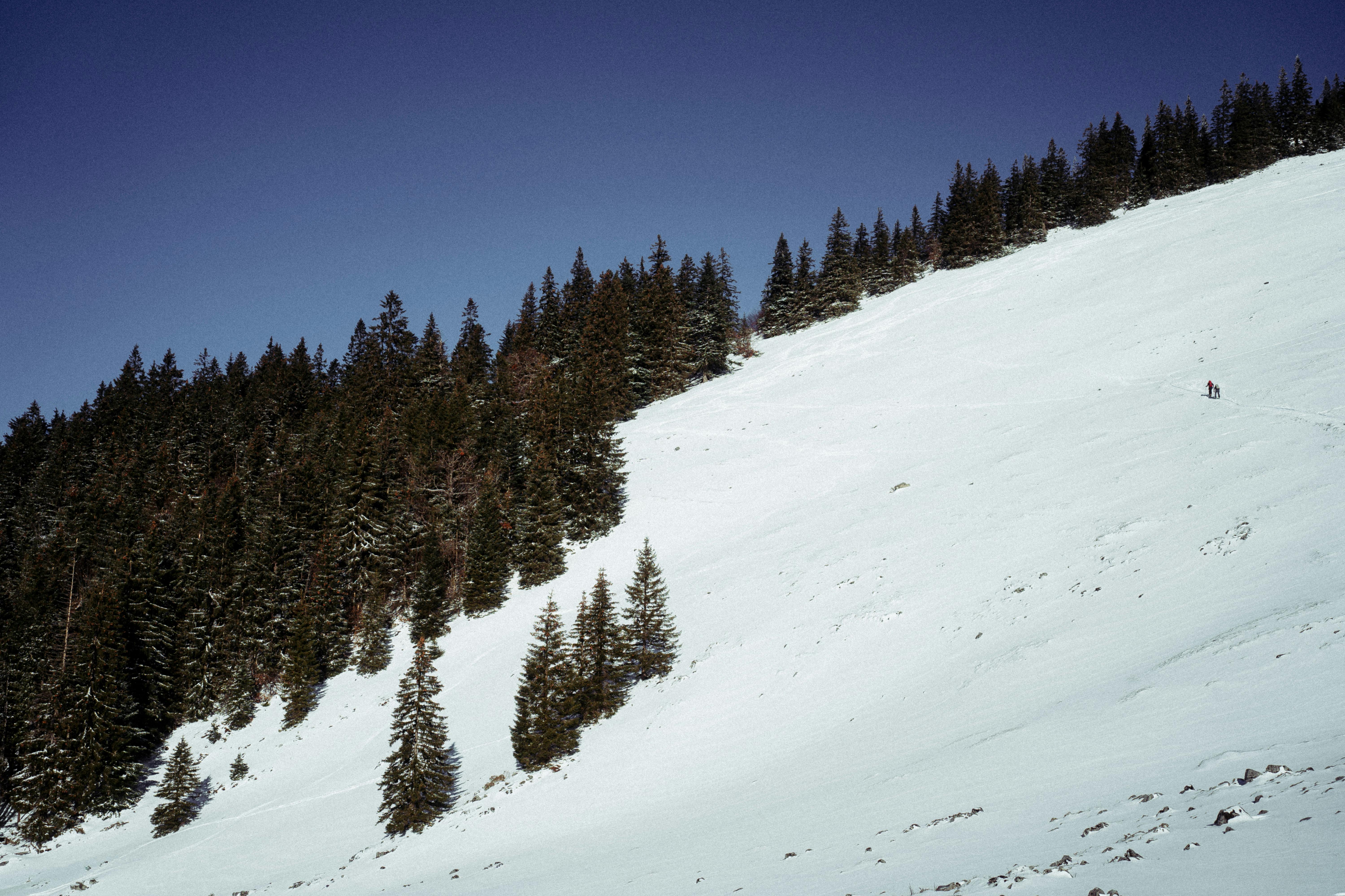 7,000+개의 최고의 4050대 산악 아줌마명기 사진 · 100% 무료 다운로드 · Pexels 스톡 사진