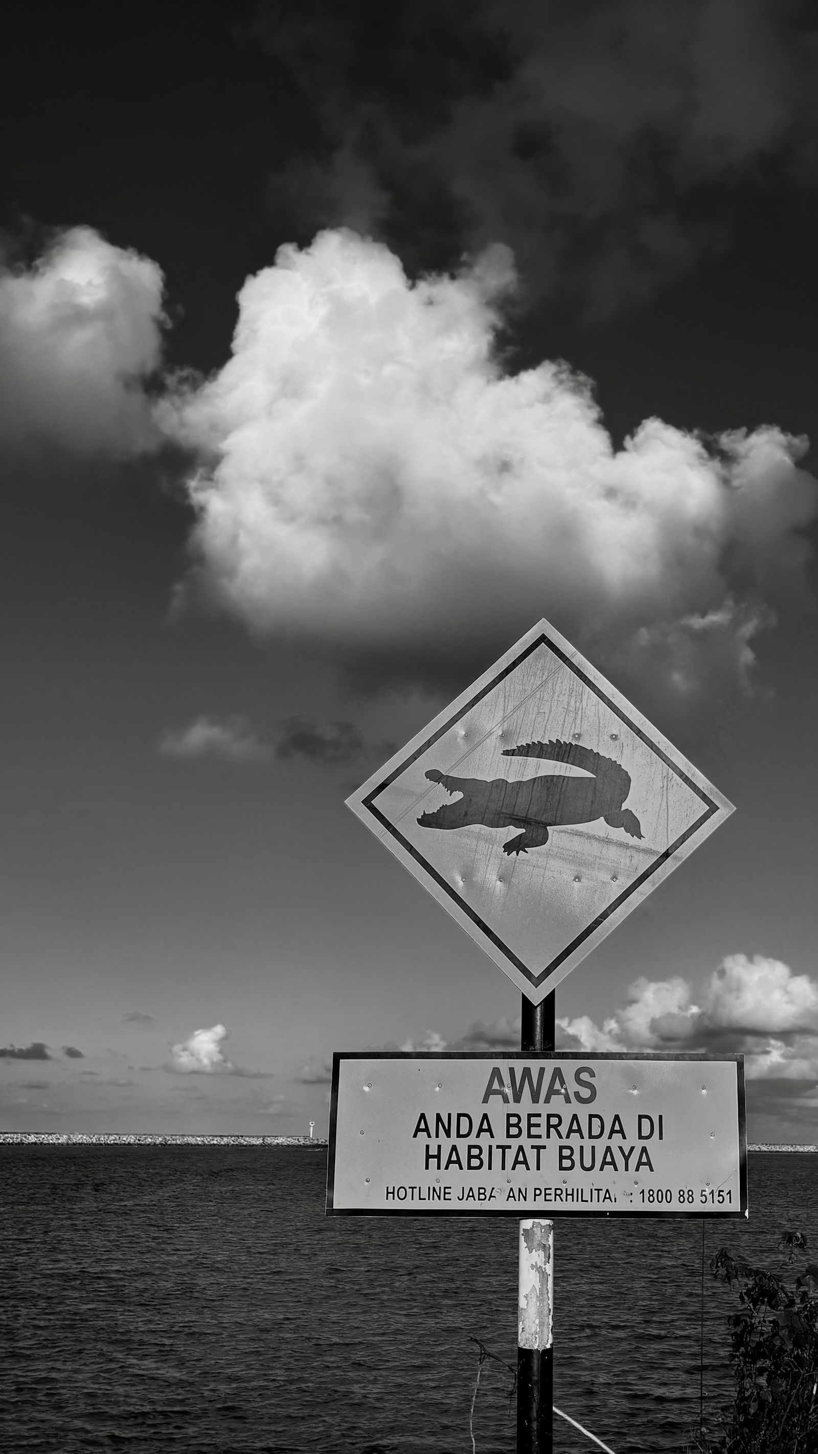 Bombardilo Crocodile Photos, Download The BEST Free Bombardilo ...
