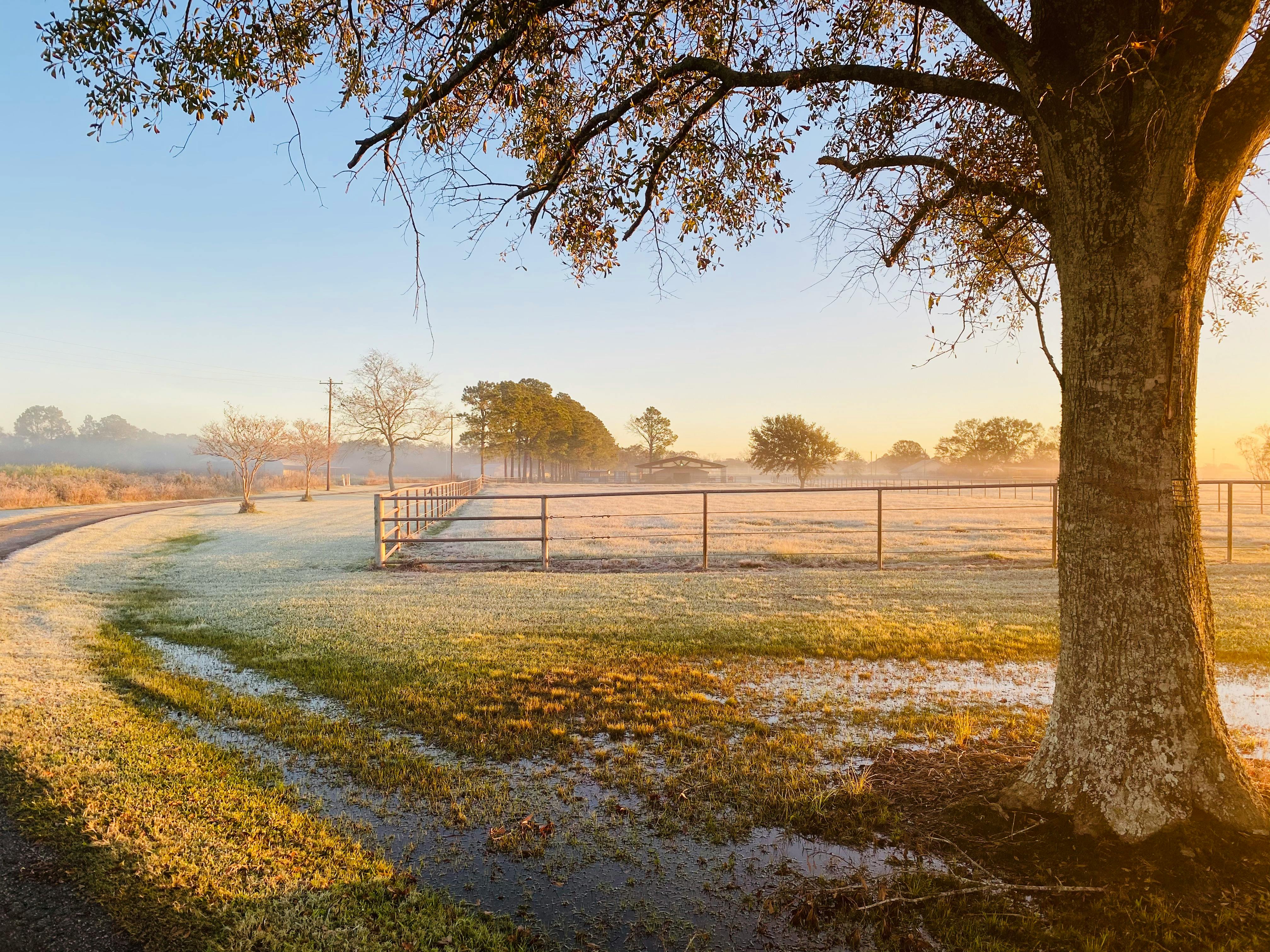 Serene Morning Frost on Rural Farm Landscape · Free Stock Photo