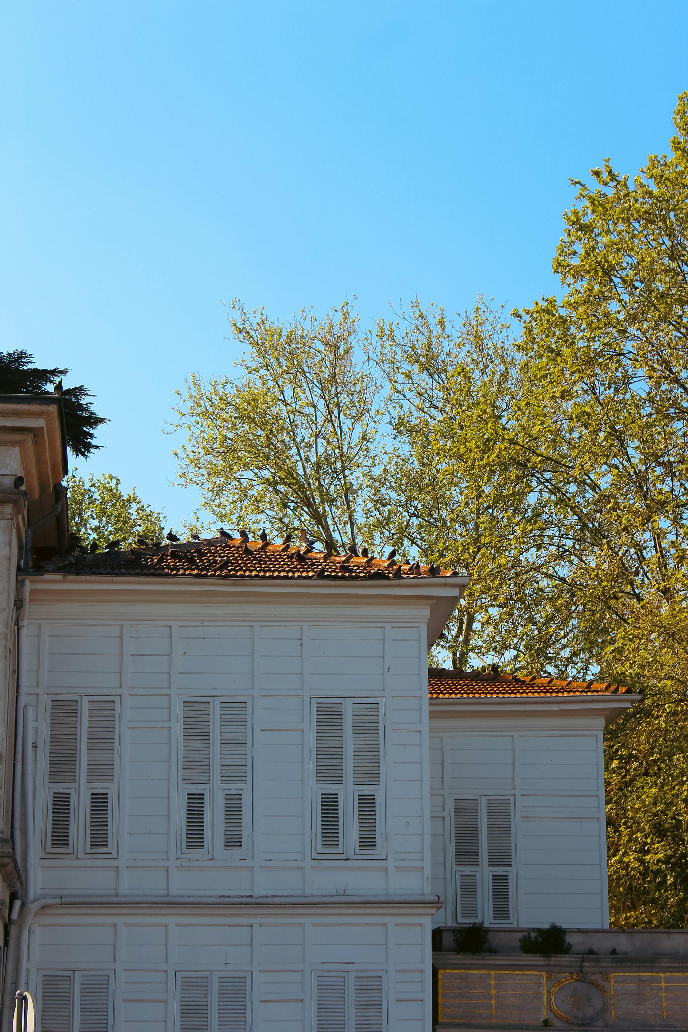 Real+Gyatt+Pics Photos, Download The BEST Free Real+Gyatt+Pics Stock ...