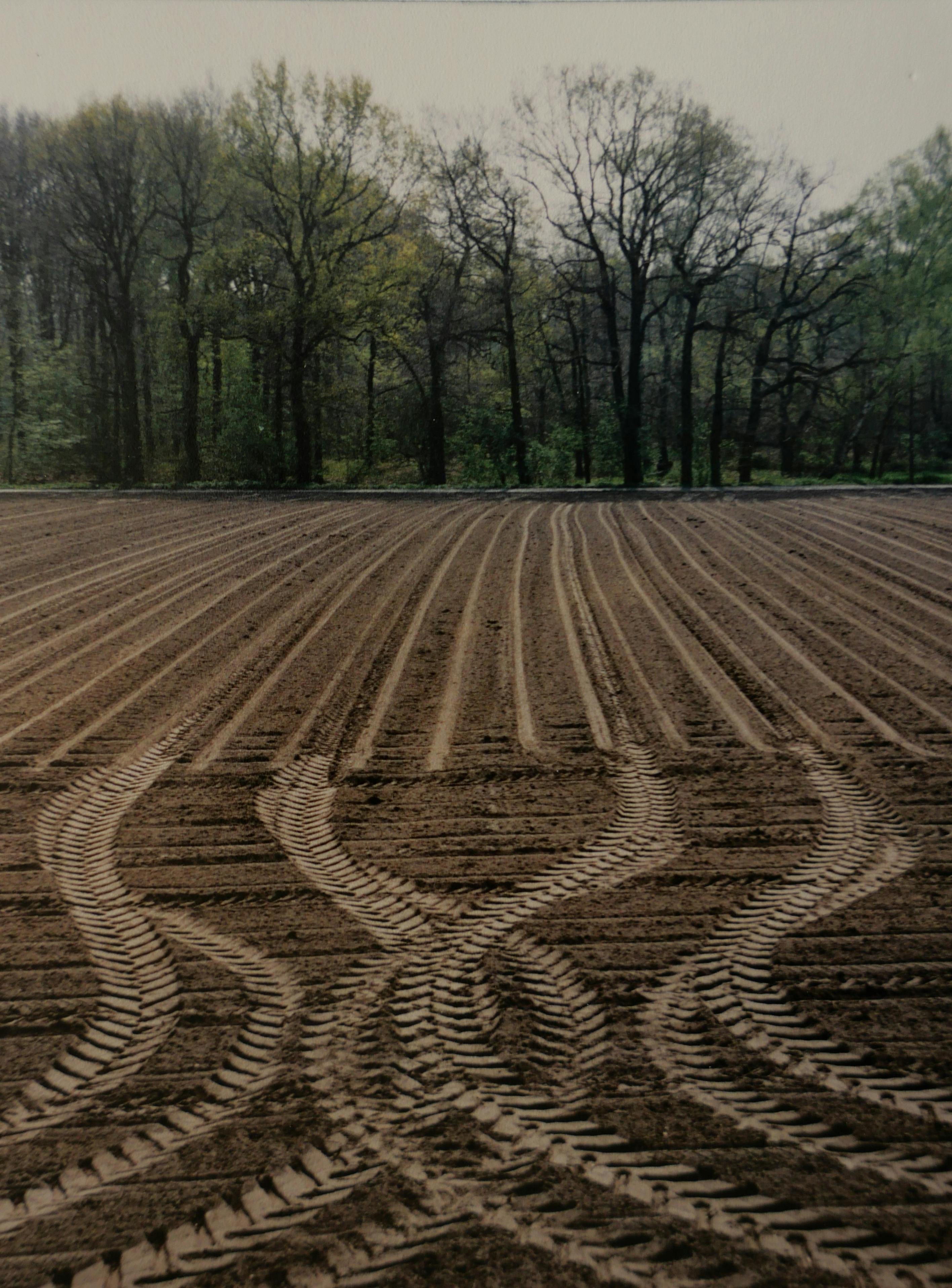 Pea Pattern Background Photos, Download The BEST Free Pea Pattern ...