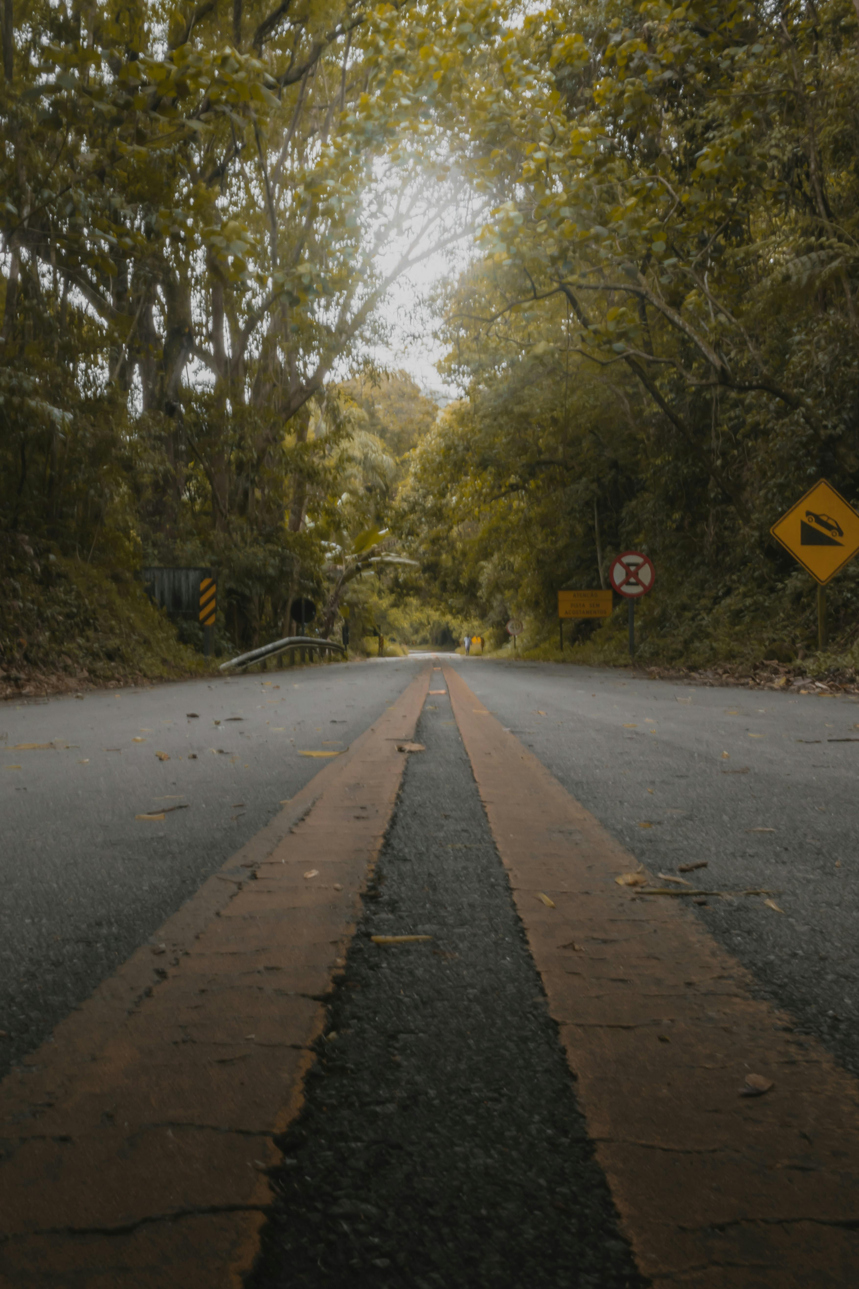 Low Angle Photo of Asphalt Road · Free Stock Photo