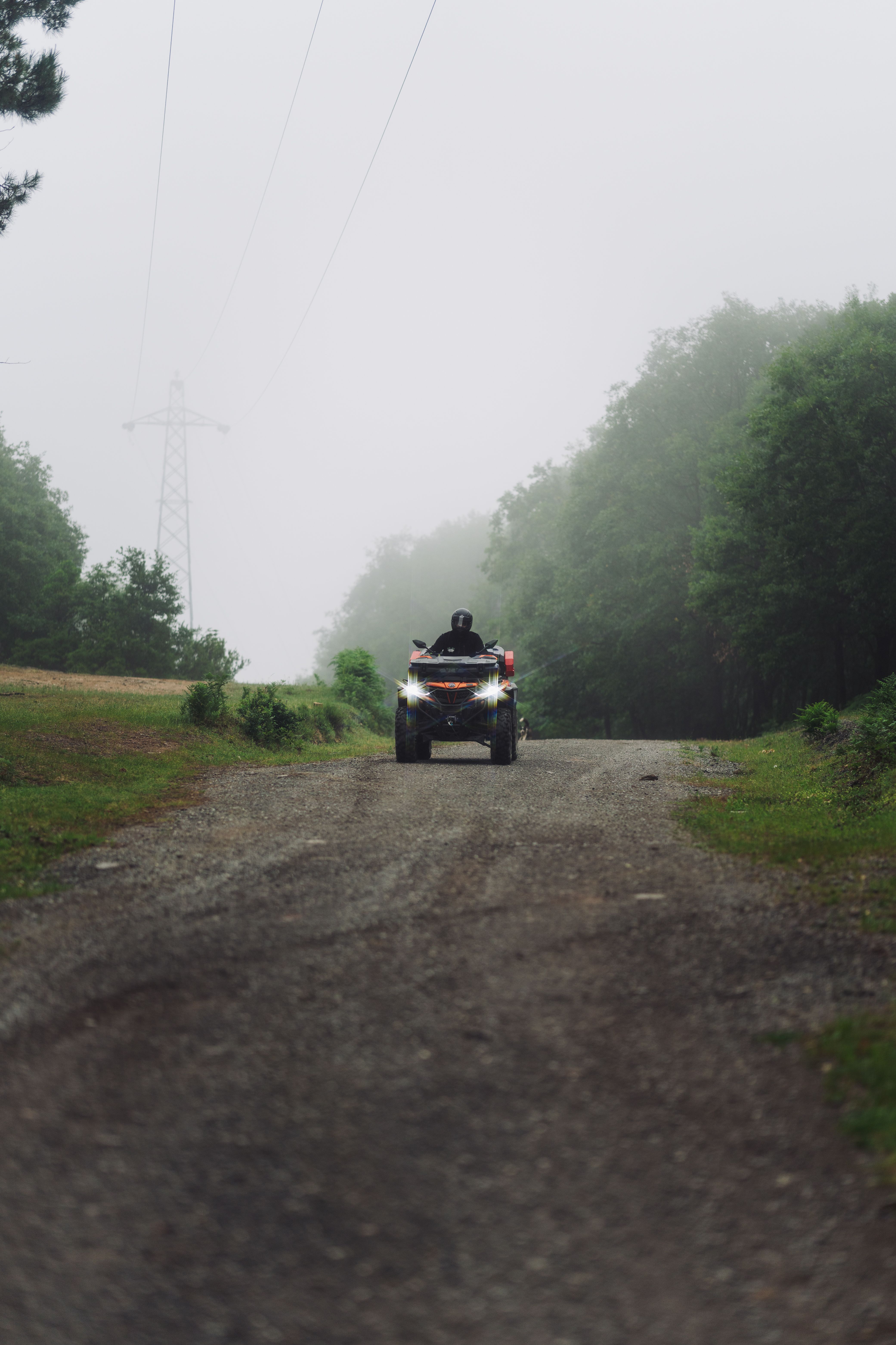 ATV Adventurer on a Misty Forest Trail · Free Stock Photo