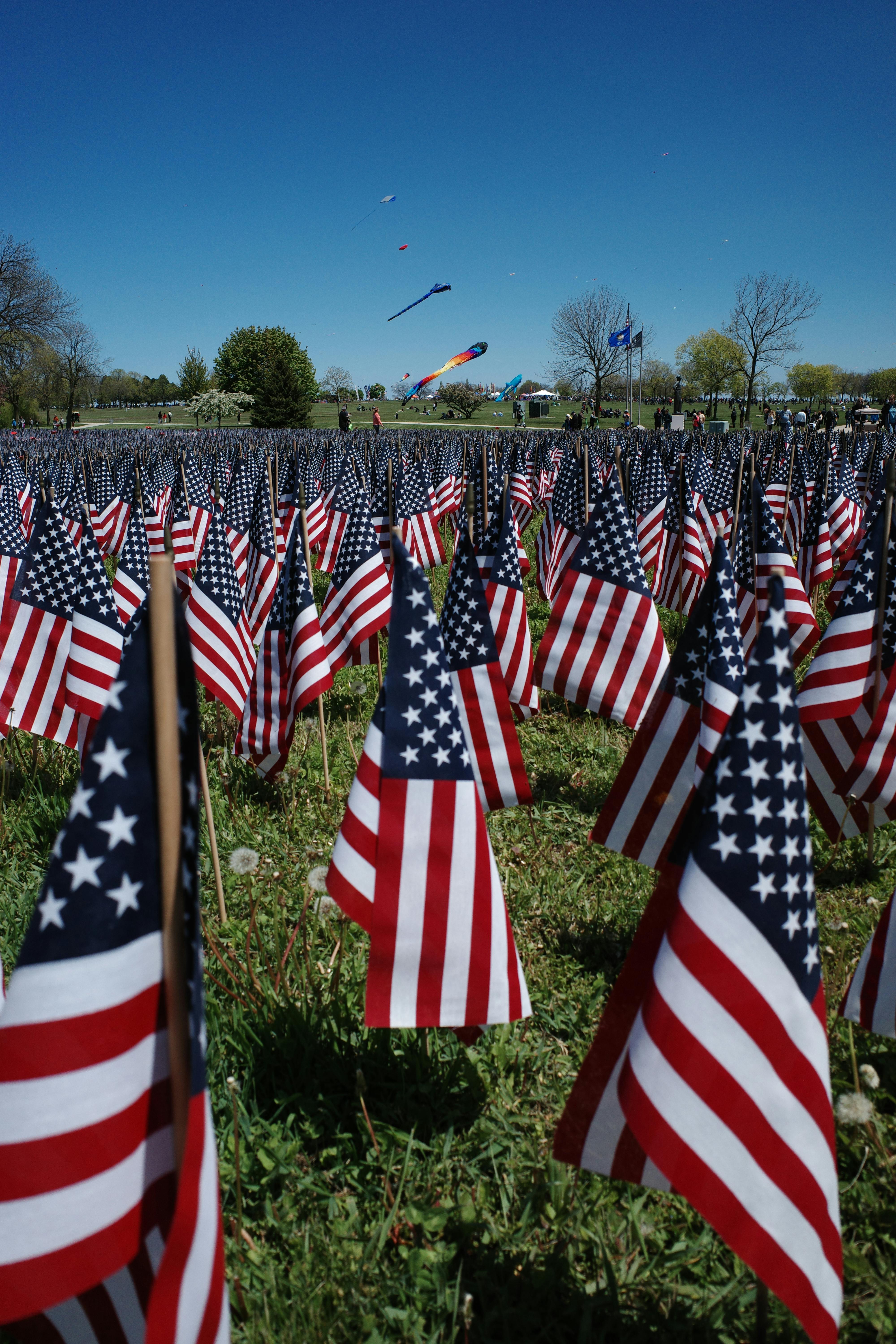 Field of American Flags on Memorial Day · Free Stock Photo