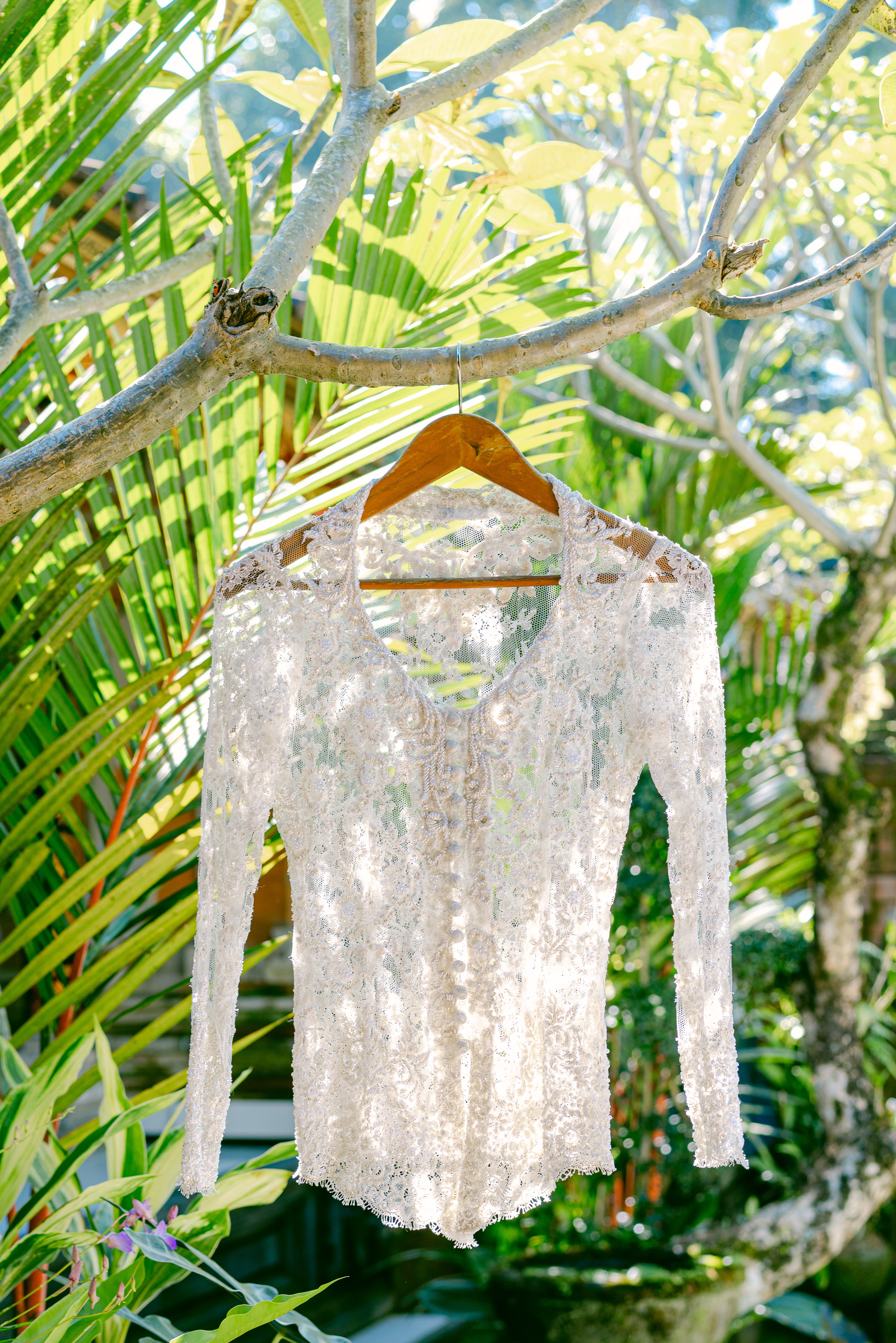 Elegant Lace Garment Hanging Outdoors · Free Stock Photo