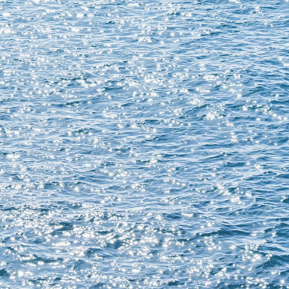 Sun No Background Photos, Download The BEST Free Sun No Background ...