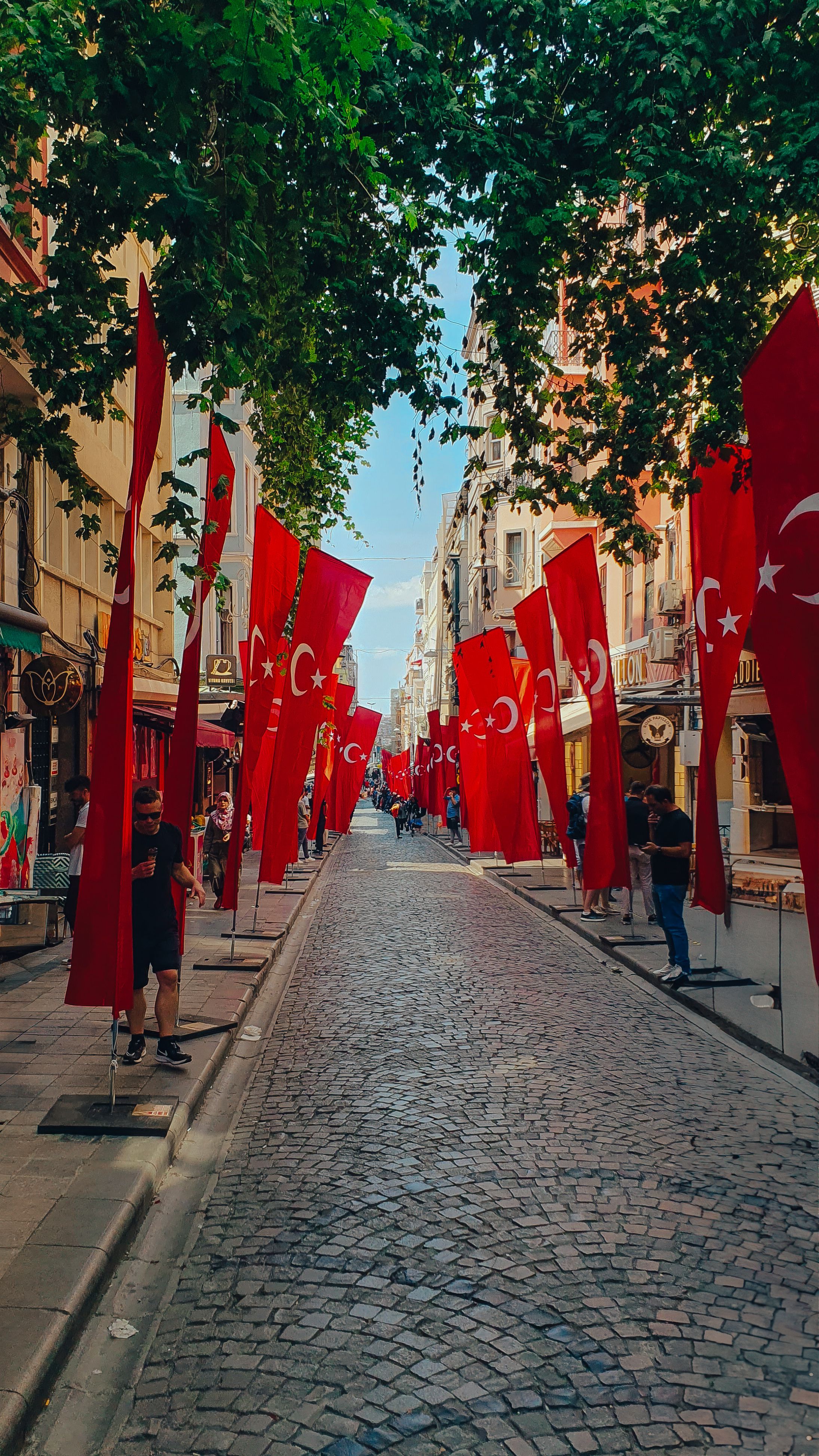Vibrant Turkish Street with Flags Displayed · Free Stock Photo