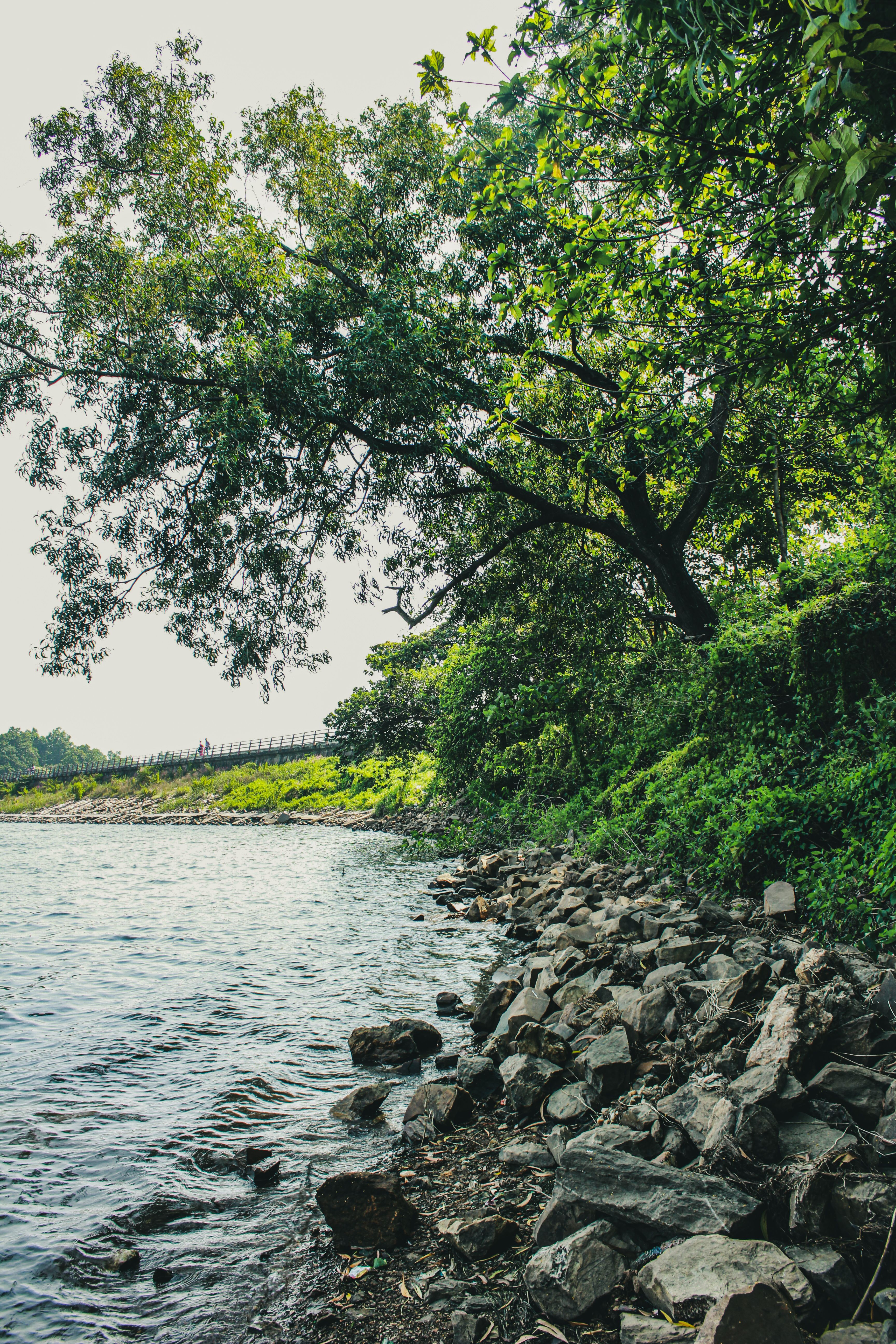 Stones In The River Photos, Download The BEST Free Stones In The River ...
