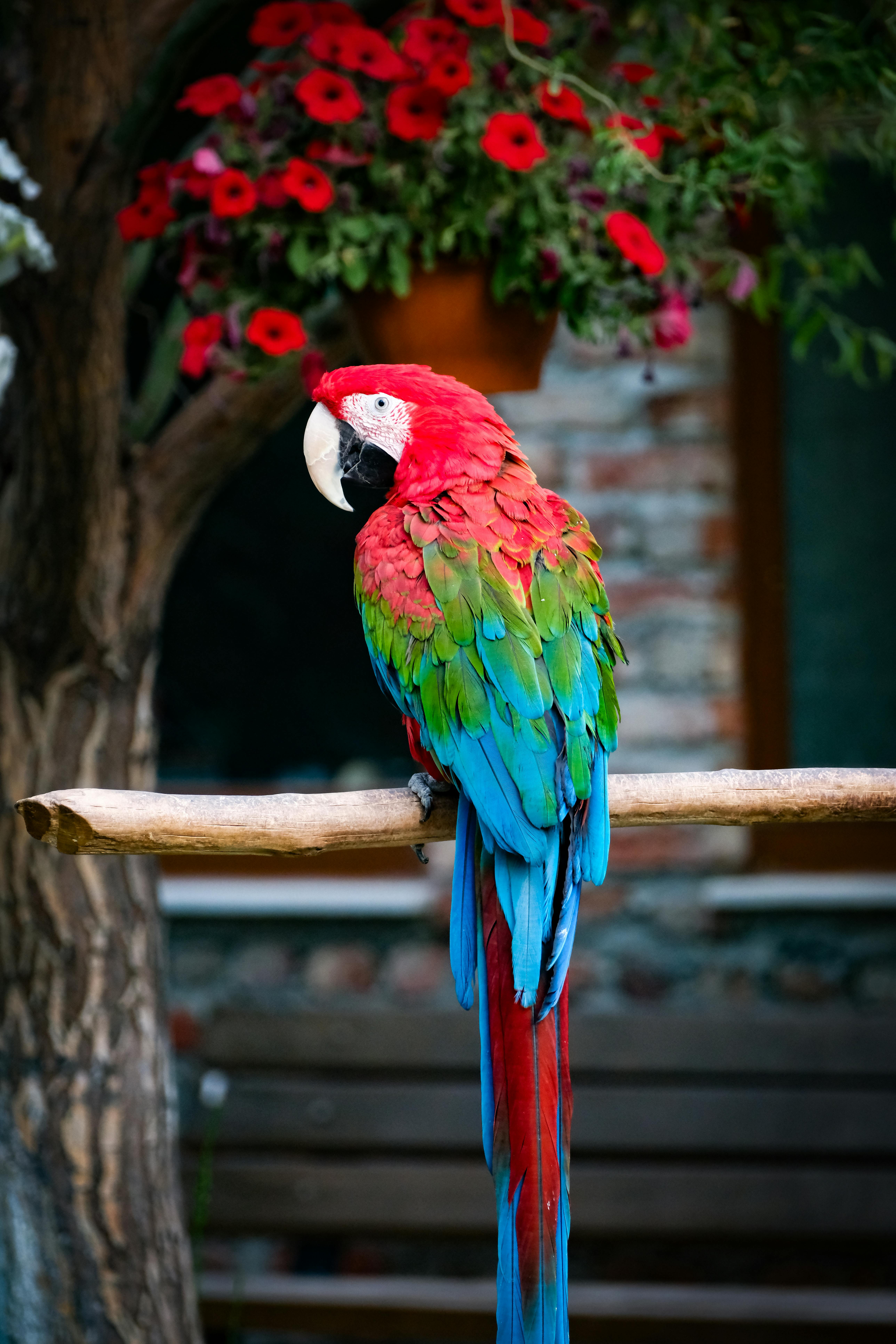 Désiré+Doué+4k Photos, Download The BEST Free Désiré+Doué+4k Stock ...