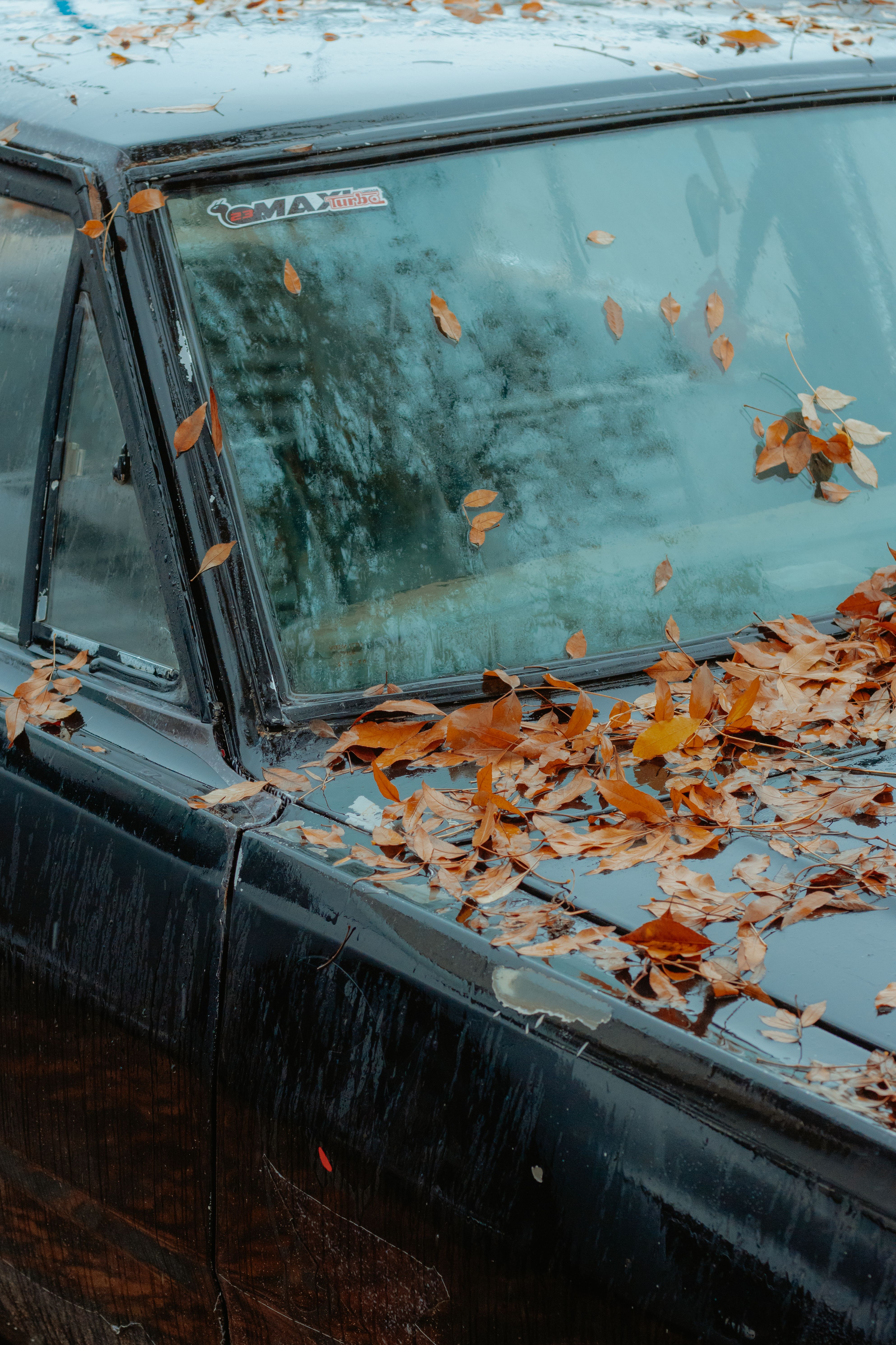 Spattered Windshield Photos, Download The BEST Free Spattered ...